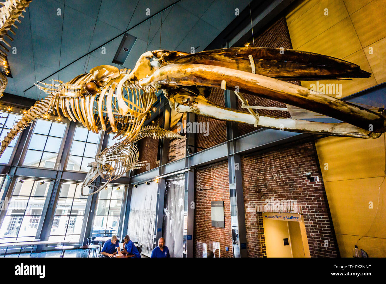 New Bedford Whaling Museum New Bedford, Massachusetts, USA Stock Photo ...