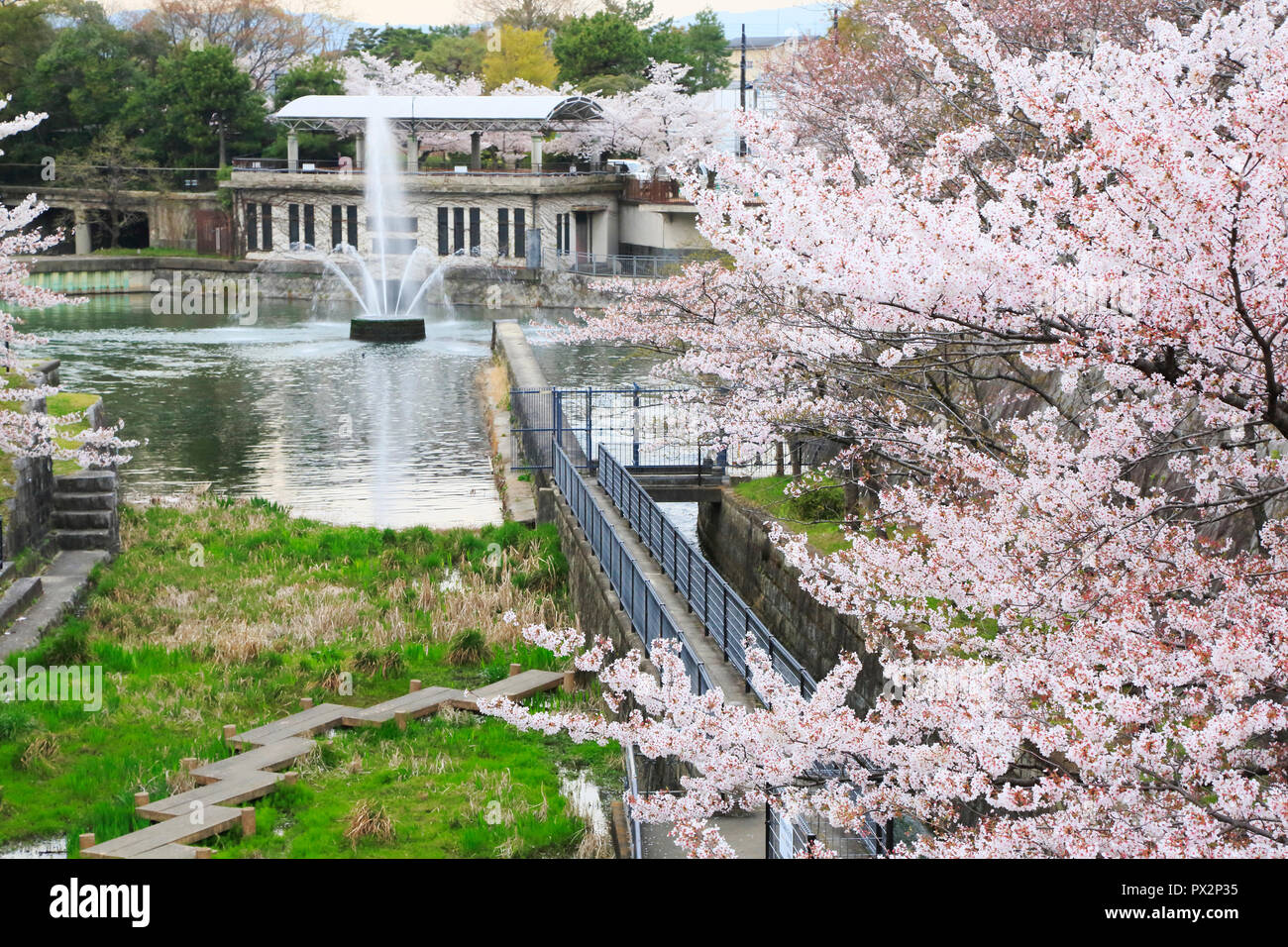 Keage incline cherry hi-res stock photography and images - Alamy