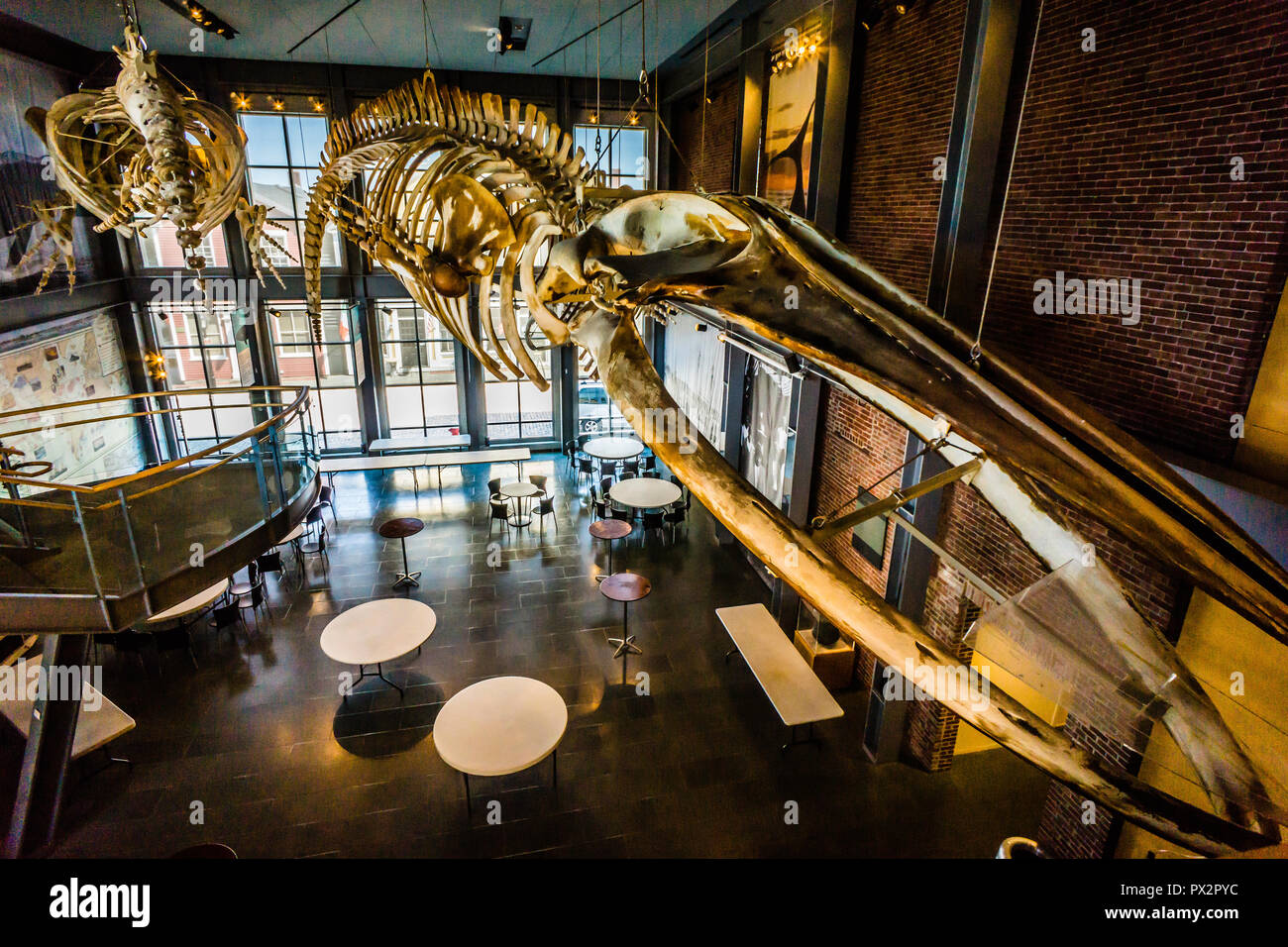 New Bedford Whaling Museum New Bedford, Massachusetts, USA Stock Photo ...