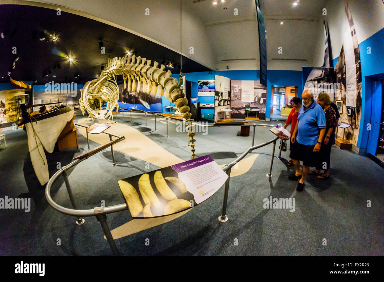 New Bedford Whaling Museum New Bedford, Massachusetts, USA Stock Photo ...