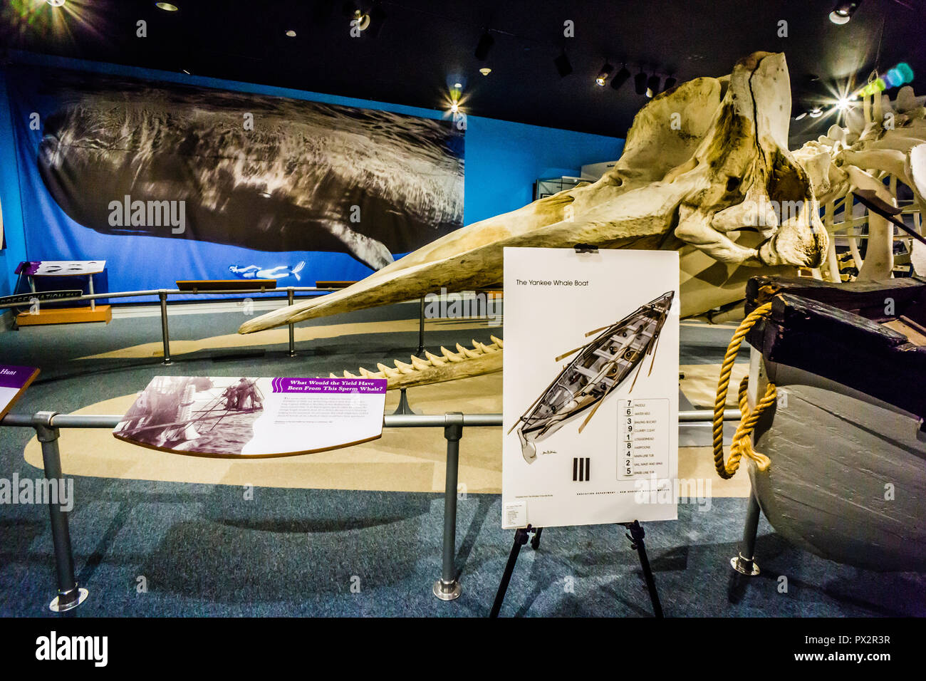 New Bedford Whaling Museum New Bedford, Massachusetts, USA Stock Photo ...