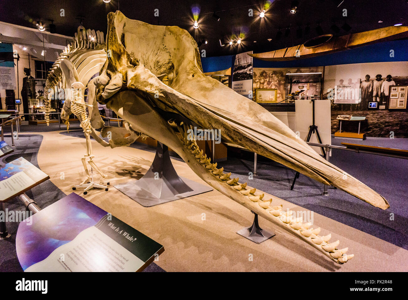 New Bedford Whaling Museum New Bedford, Massachusetts, USA Stock Photo ...