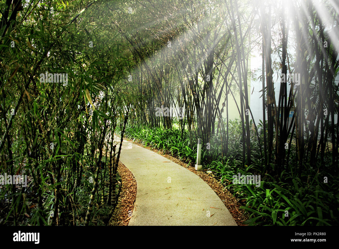 Close up empty footpath in public park and beam of light in Bangkok ...