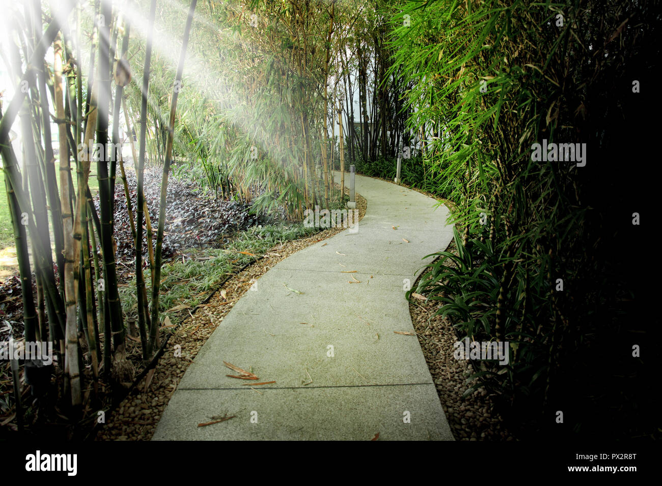 Close up empty footpath in public park and beam of light in Bangkok ...