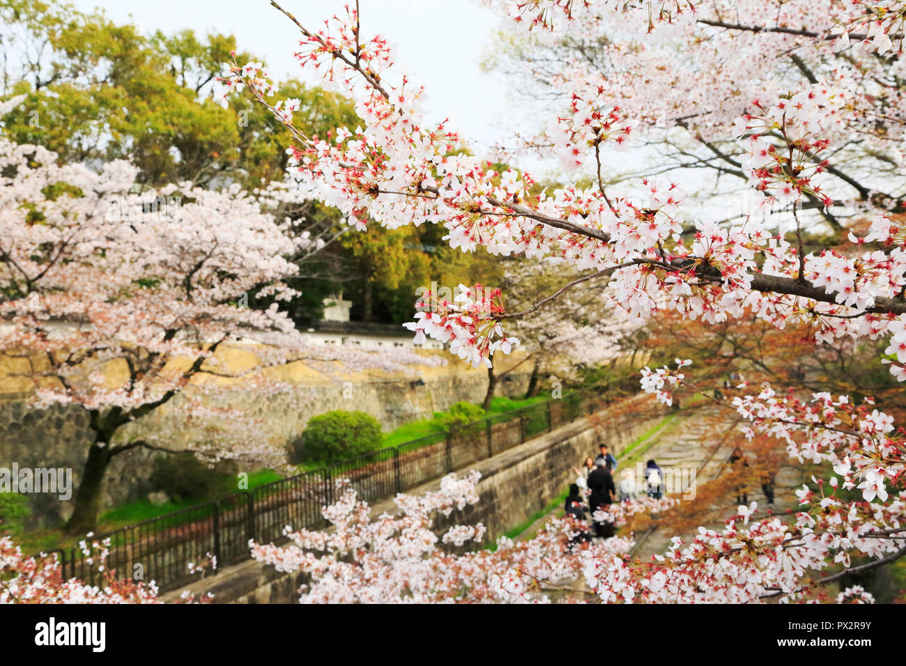 Keage hi-res stock photography and images - Alamy