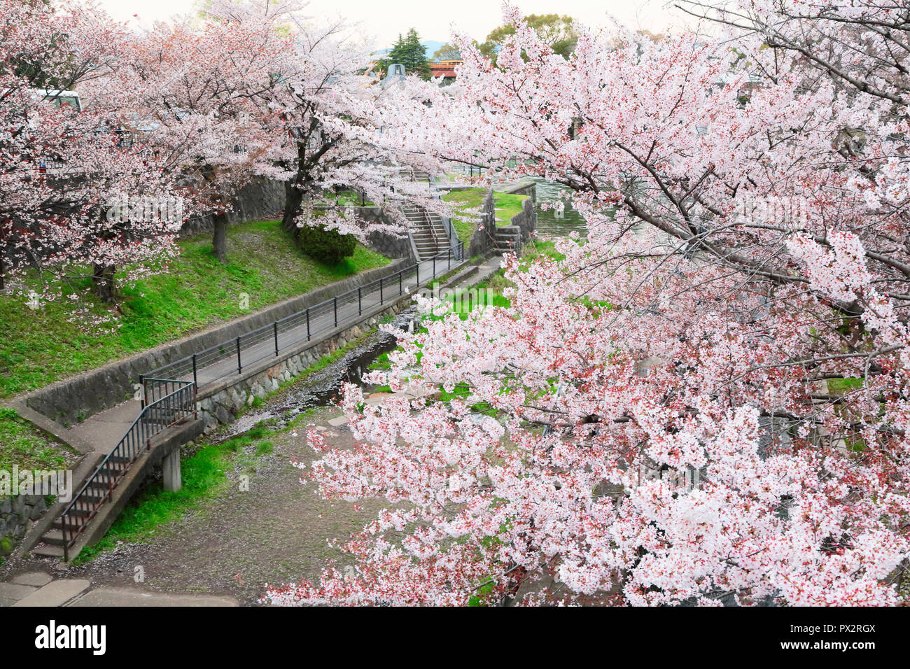 Keage Incline High Resolution Stock Photography and Images - Alamy