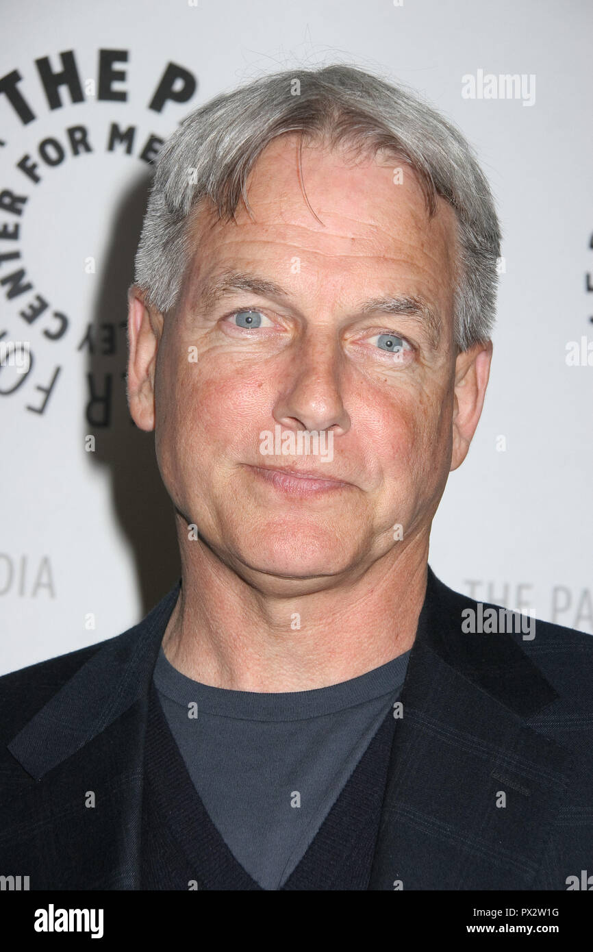 Mark East's Instagram, Twitter & Facebook on IDCrawl