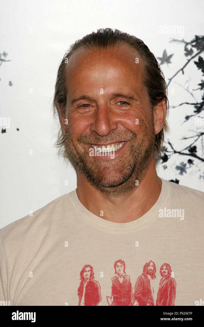 Peter stormare hi-res stock photography and images - Alamy