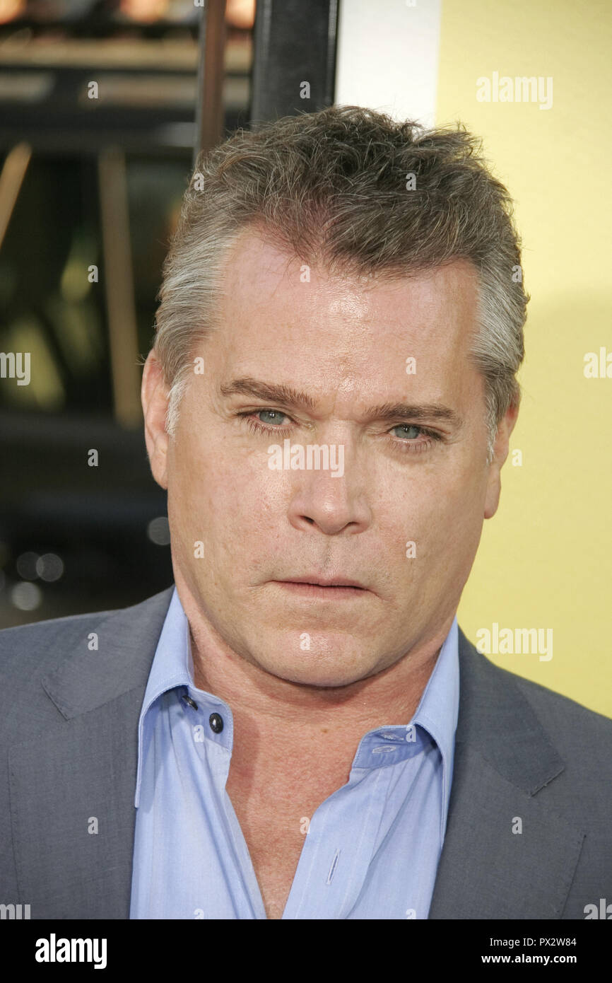 Report premiere hi-res stock photography and images - Alamy