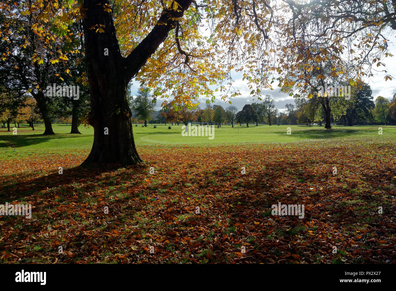 Autumn in Perth Scotland, 2018. The North Inch golf course Stock Photo ...