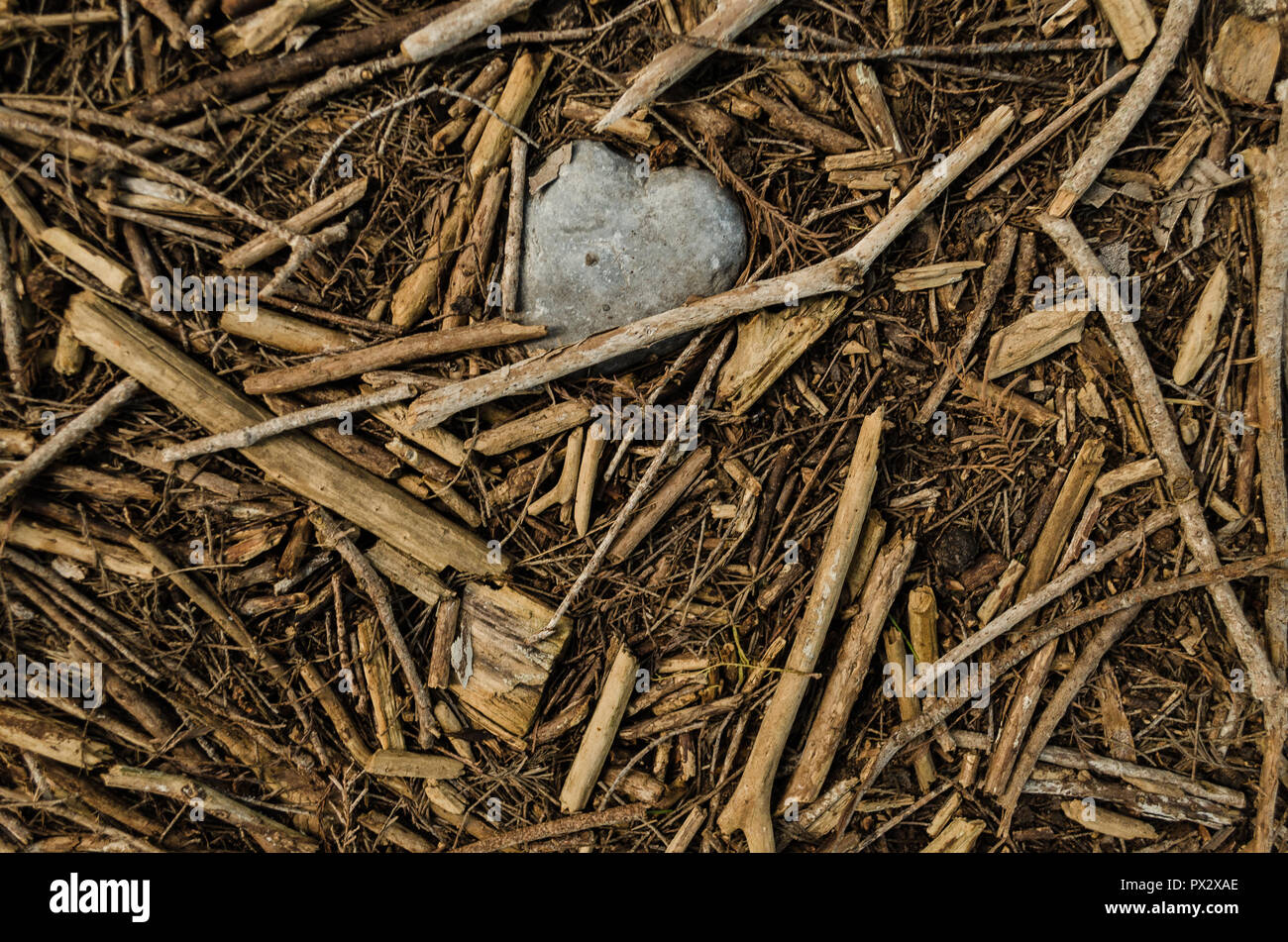 Hardness of heart hi-res stock photography and images - Alamy