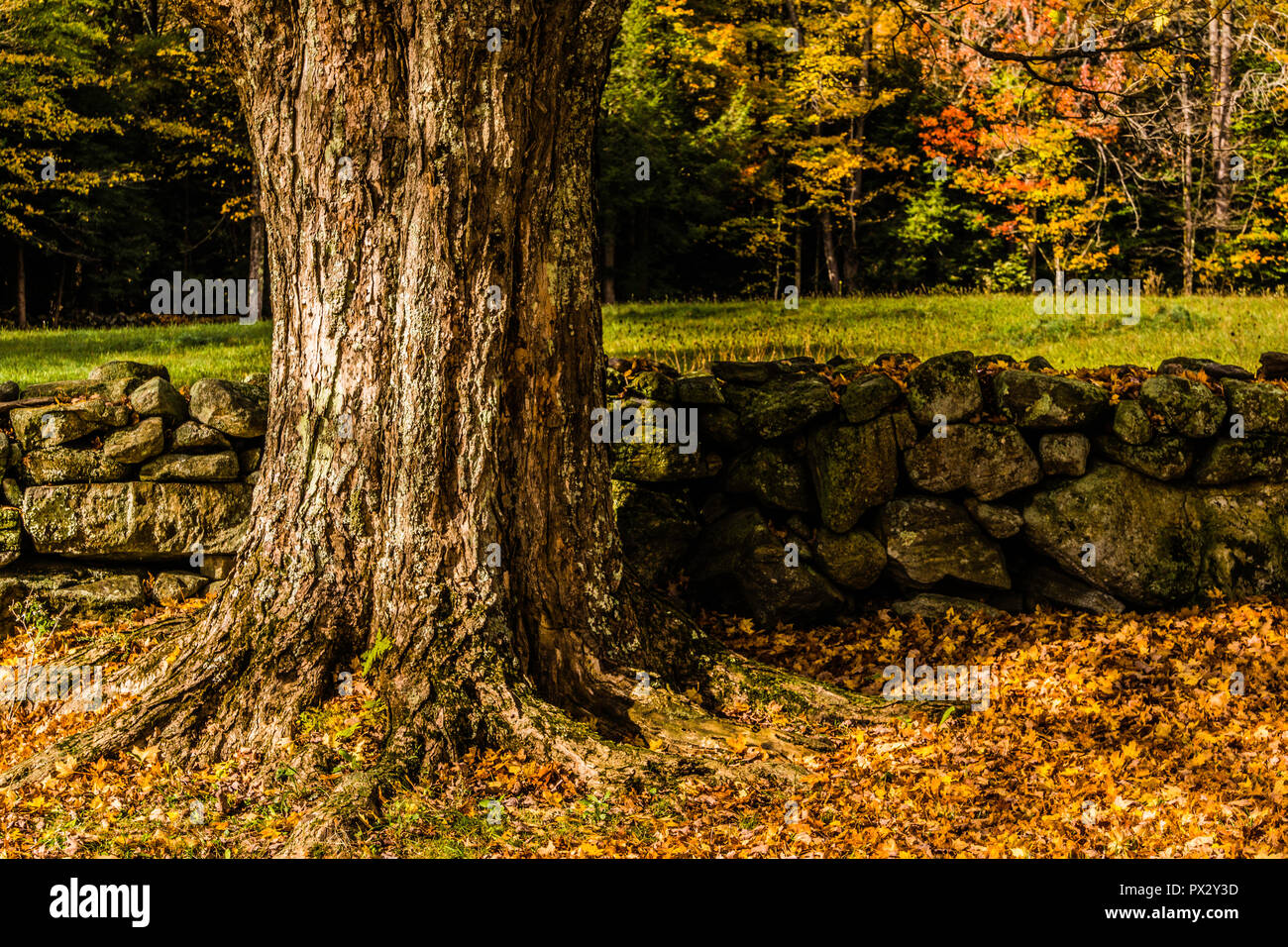 Stone Wall Colebrook, Connecticut, USA Stock Photo - Alamy
