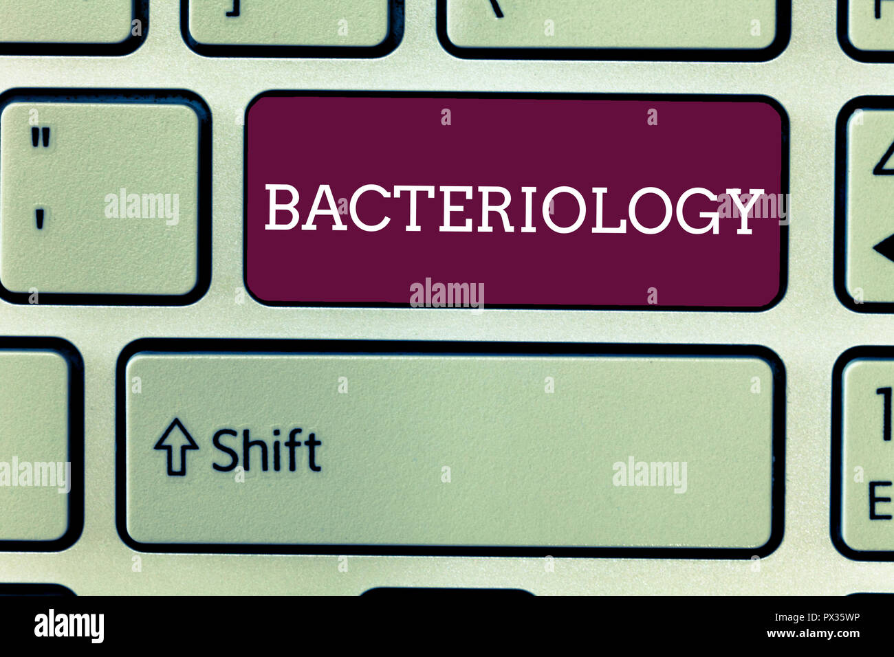 Word writing text Bacteriology. Business concept for Branch of ...