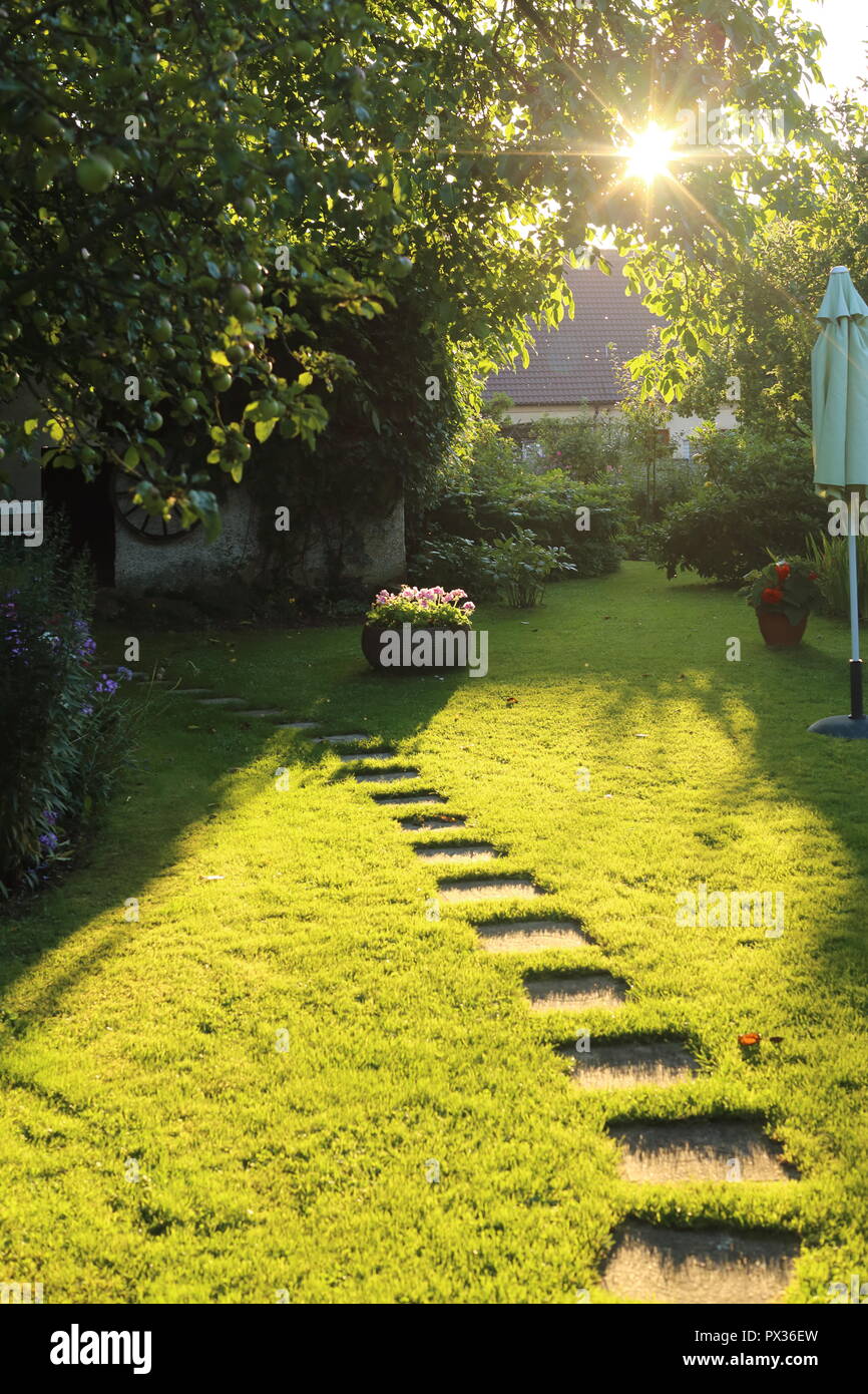 Golden hour sunlight in the garden with path made from square tiles ...