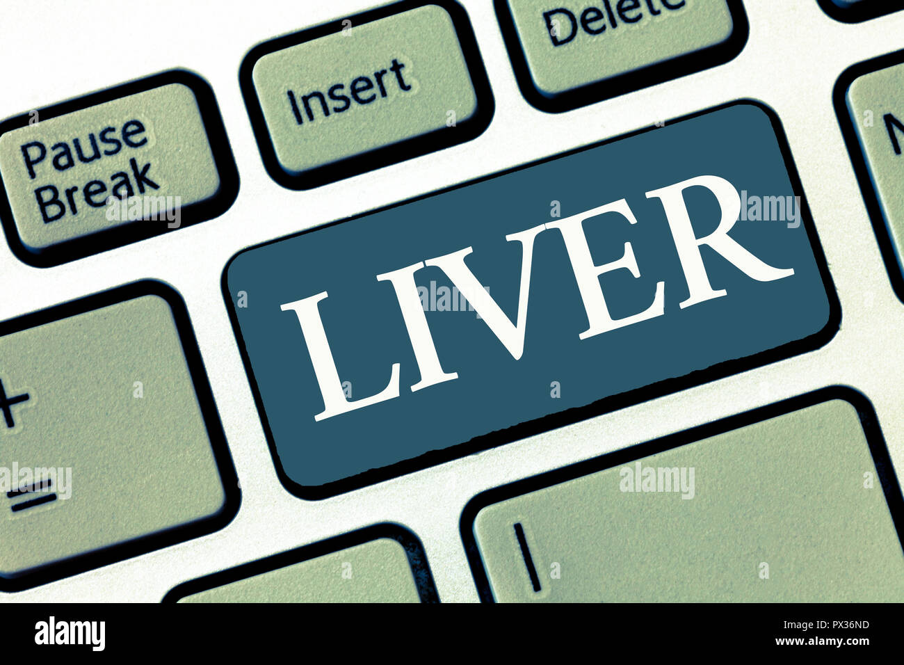 Writing note showing Liver. Business photo showcasing Large lobed ...