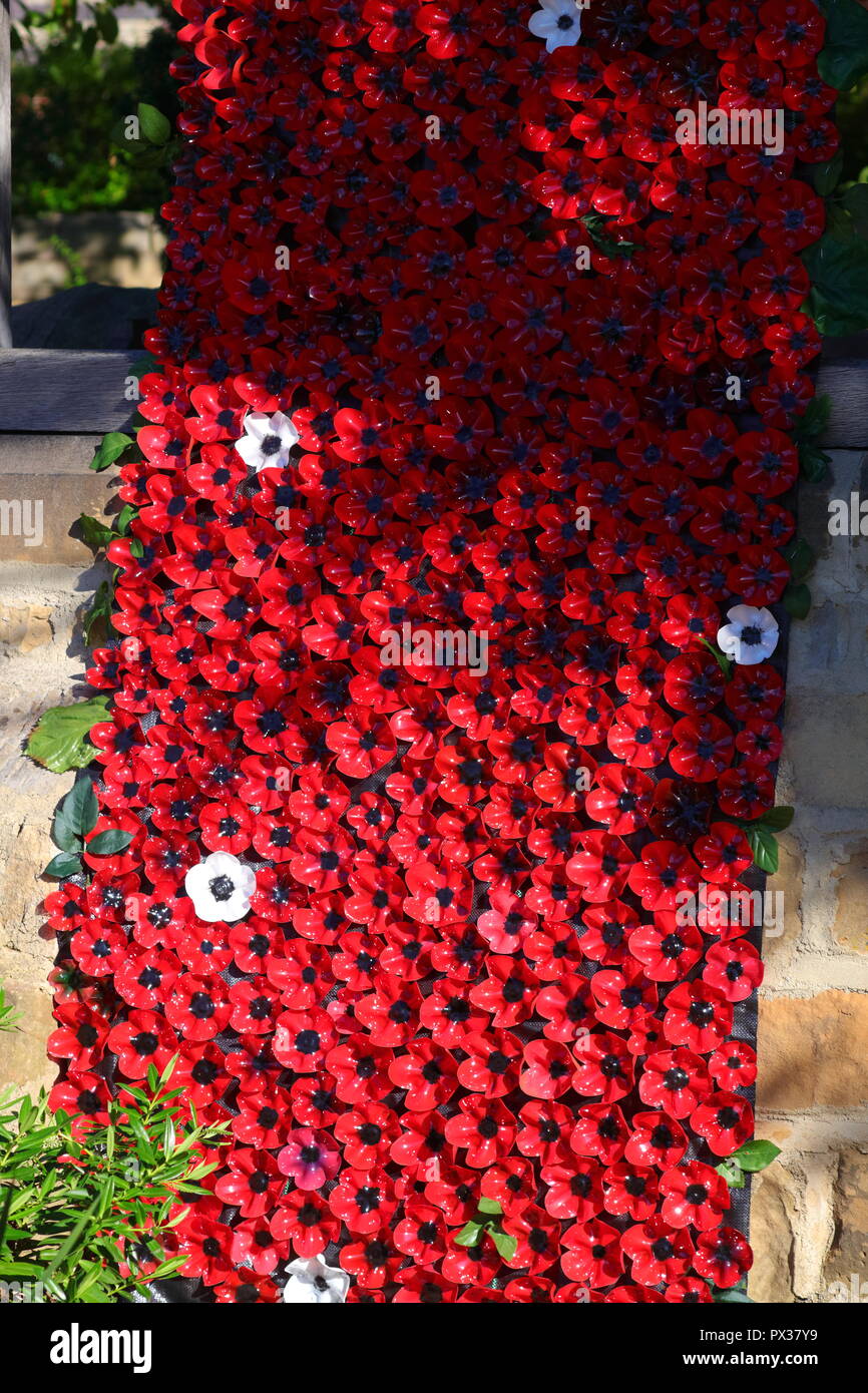 A poppy display in Allerton Bywater, ready for the celebration of 100 ...