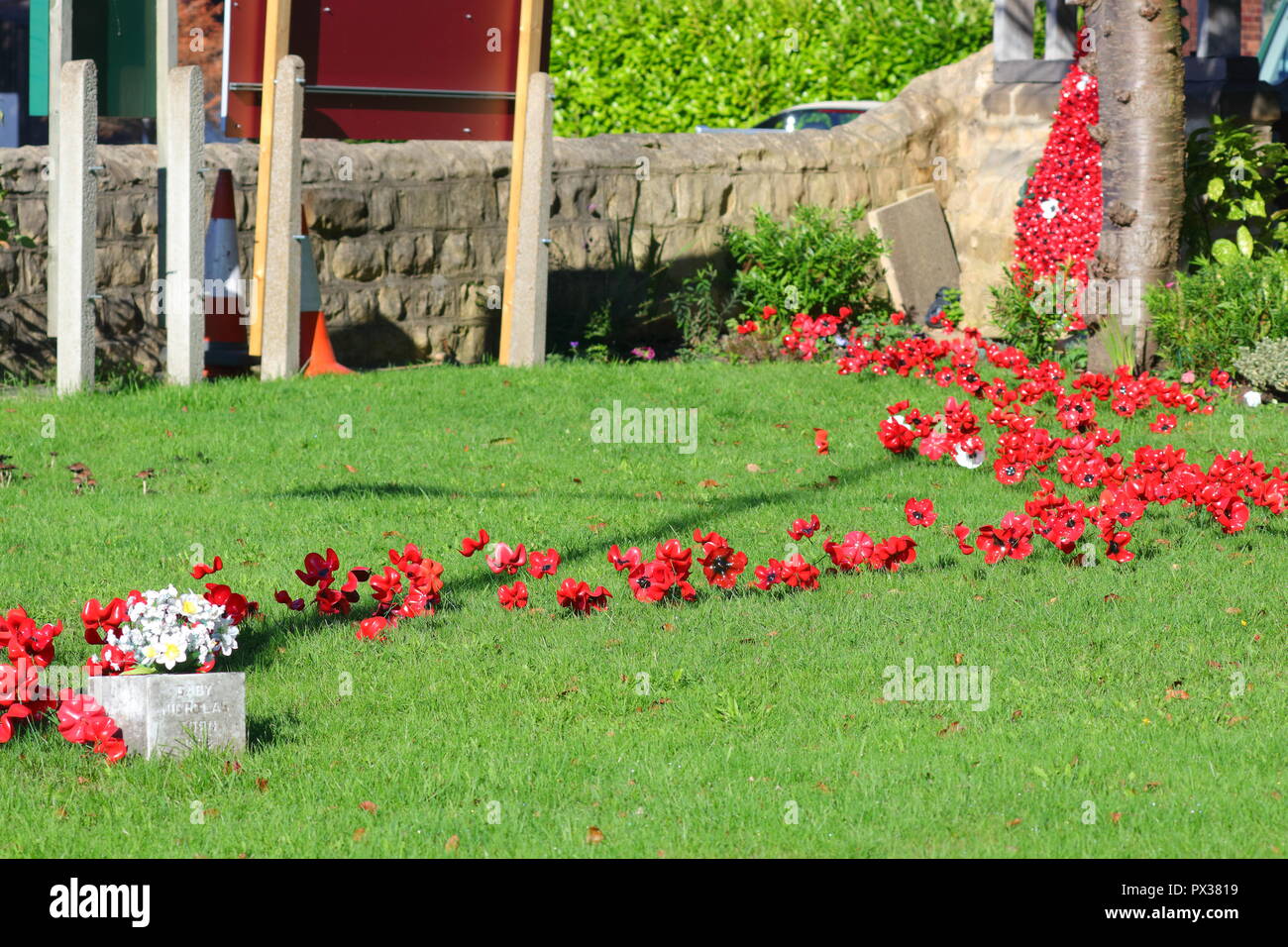 Plastic poppy hi-res stock photography and images - Alamy