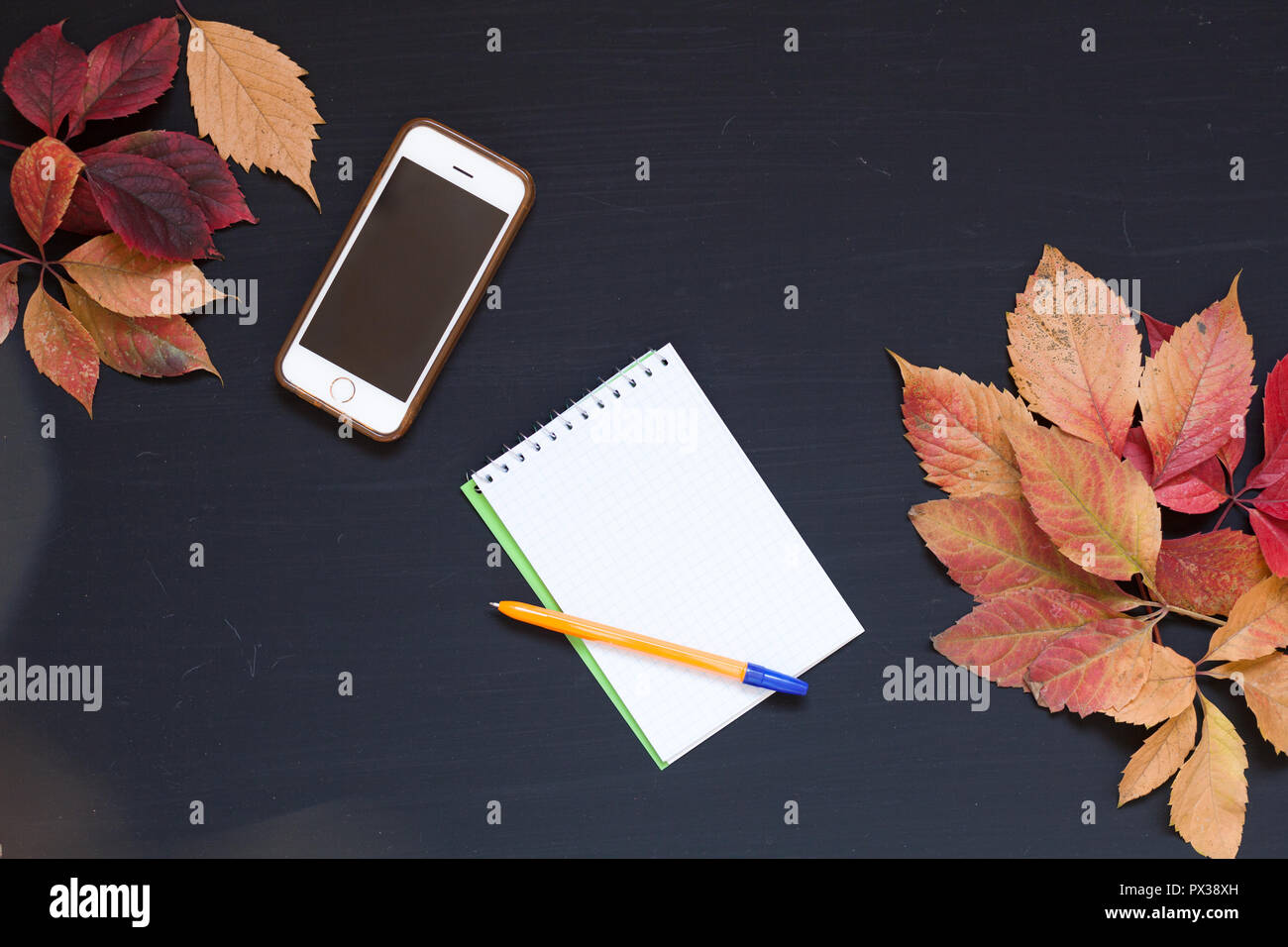yellow autumn leaves cell phone notebook 3 Stock Photo - Alamy