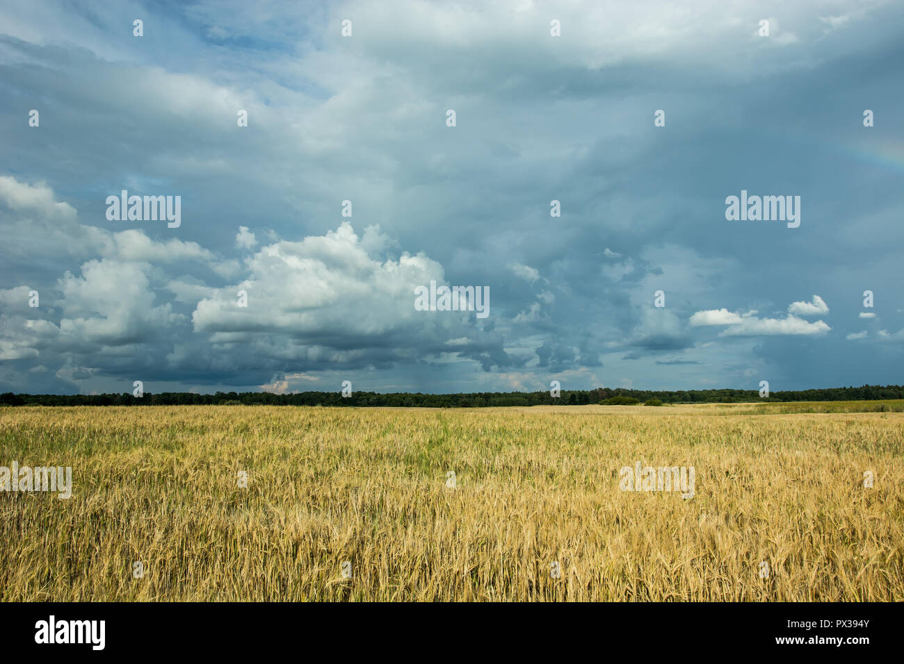 Dark rainy hi-res stock photography and images - Alamy