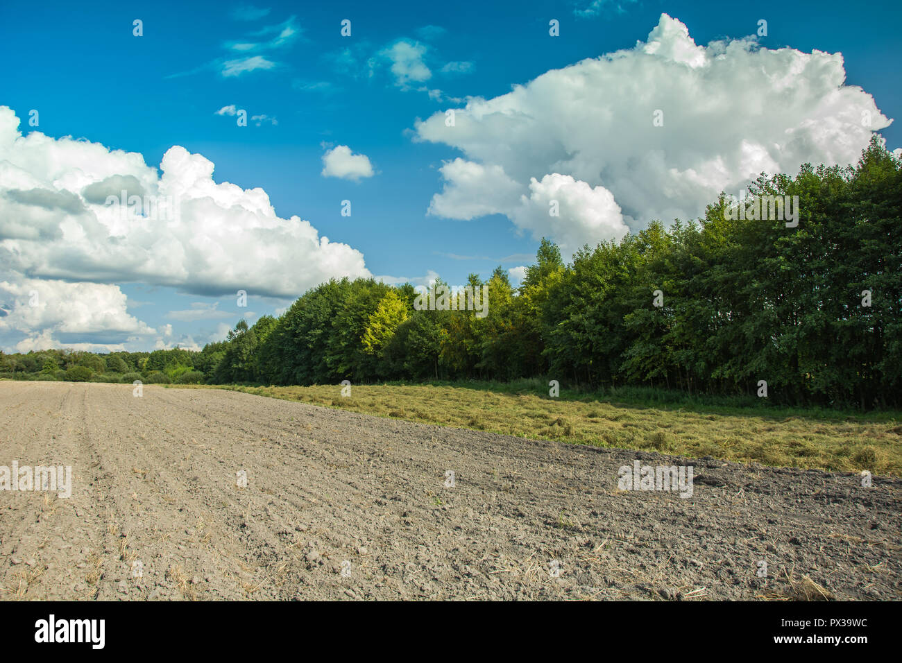 White soil hi-res stock photography and images - Alamy