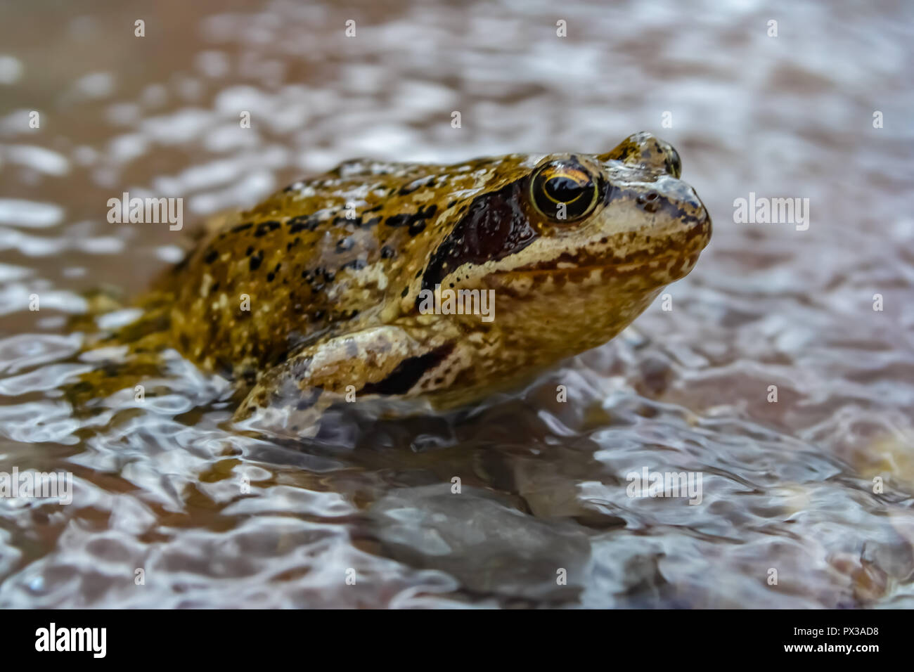 Hinweise hi-res stock photography and images - Alamy