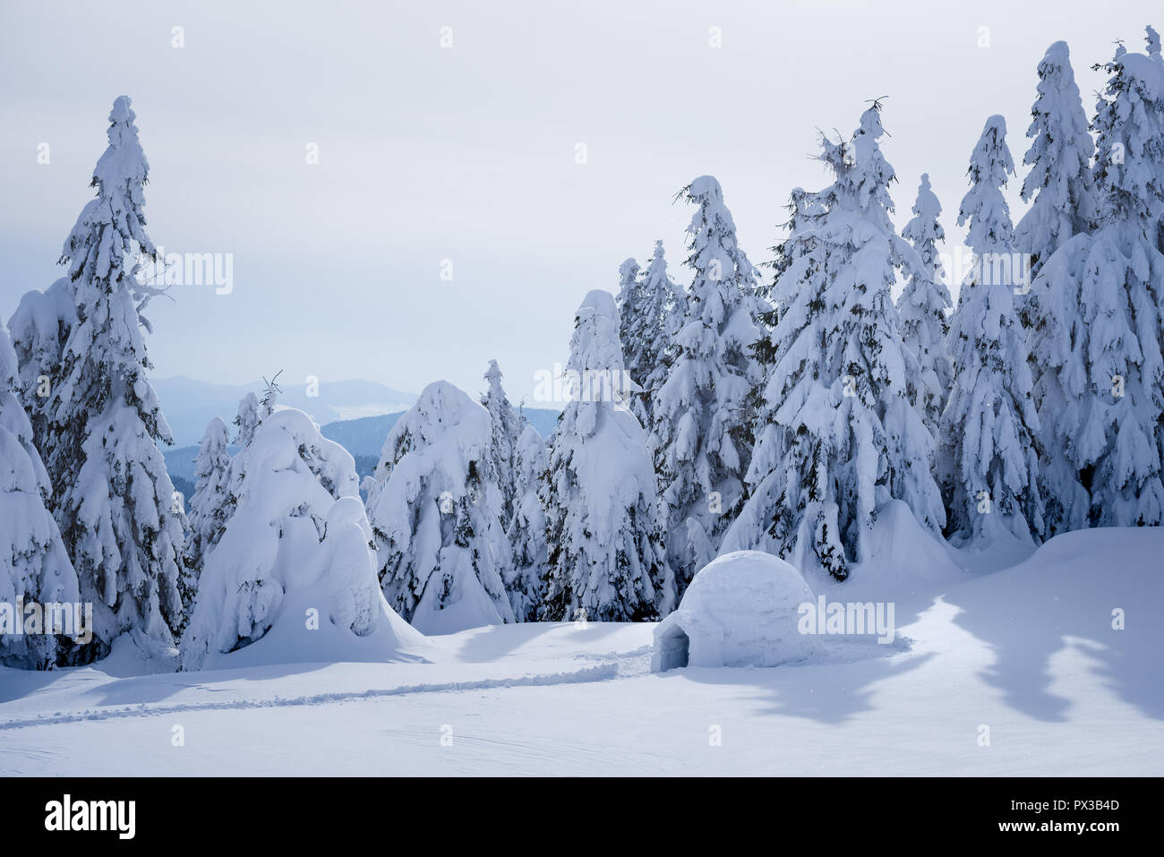 Snow igloo. Winter in the mountains. Landscape with shelter for extreme ...