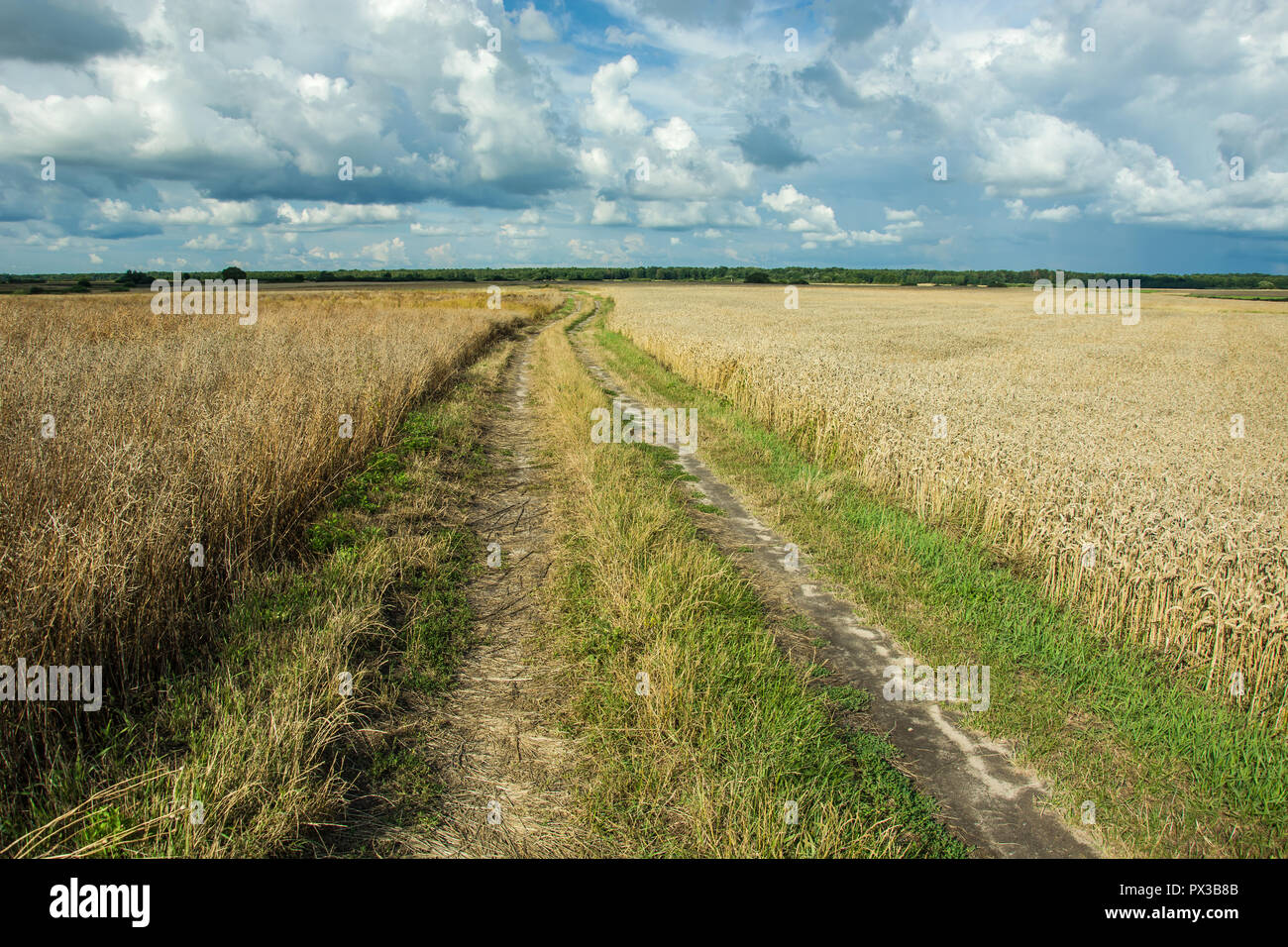 Long country road through fields and clouds in the sky Stock Photo - Alamy