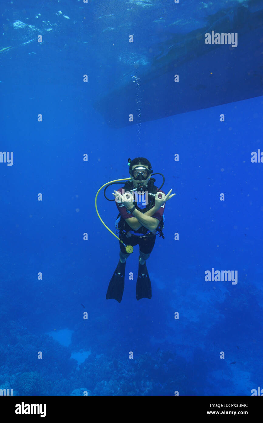 SCUBA divers at the Red Sea Egypt Stock Photo - Alamy