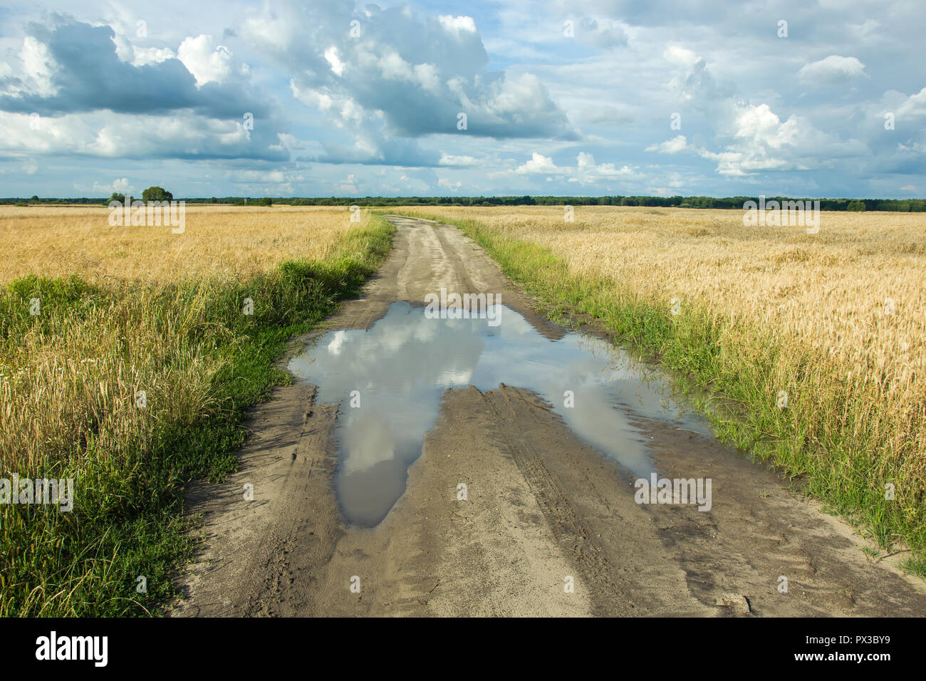 Puddle field hi-res stock photography and images - Alamy
