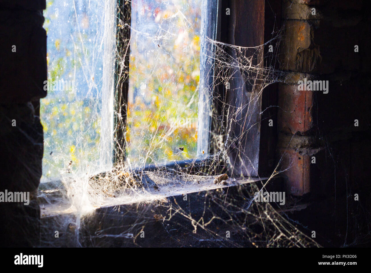 old window and cobweb around Stock Photo - Alamy