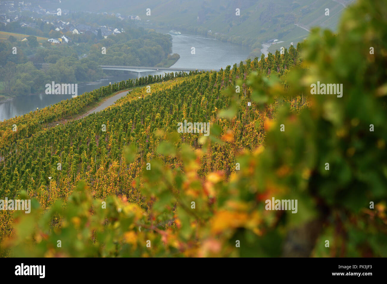 Kinheim hi-res stock photography and images - Alamy