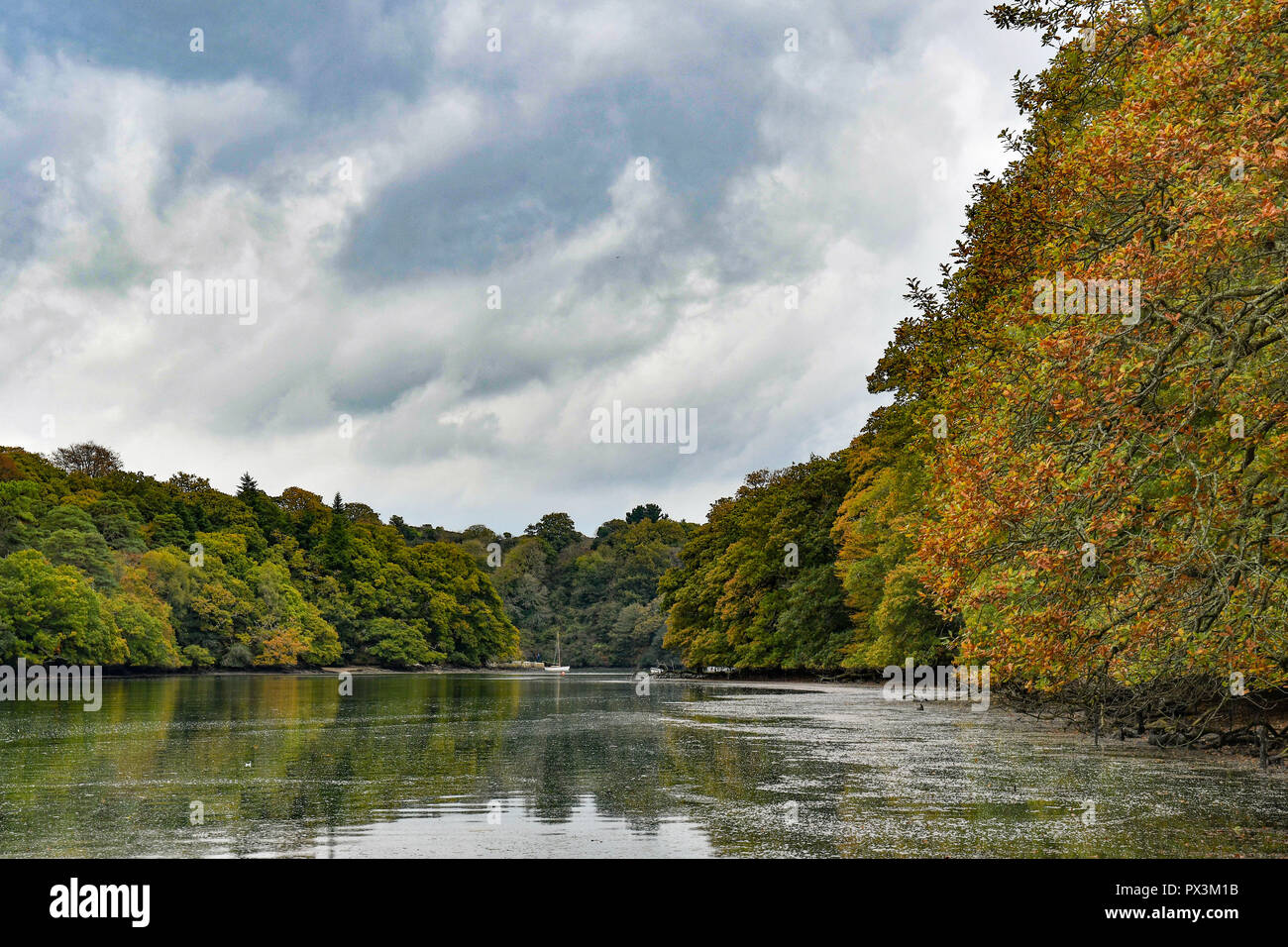 Trelissick Woods, Truro, Cornwall, UK. 19th October 2018. UK Weather ...