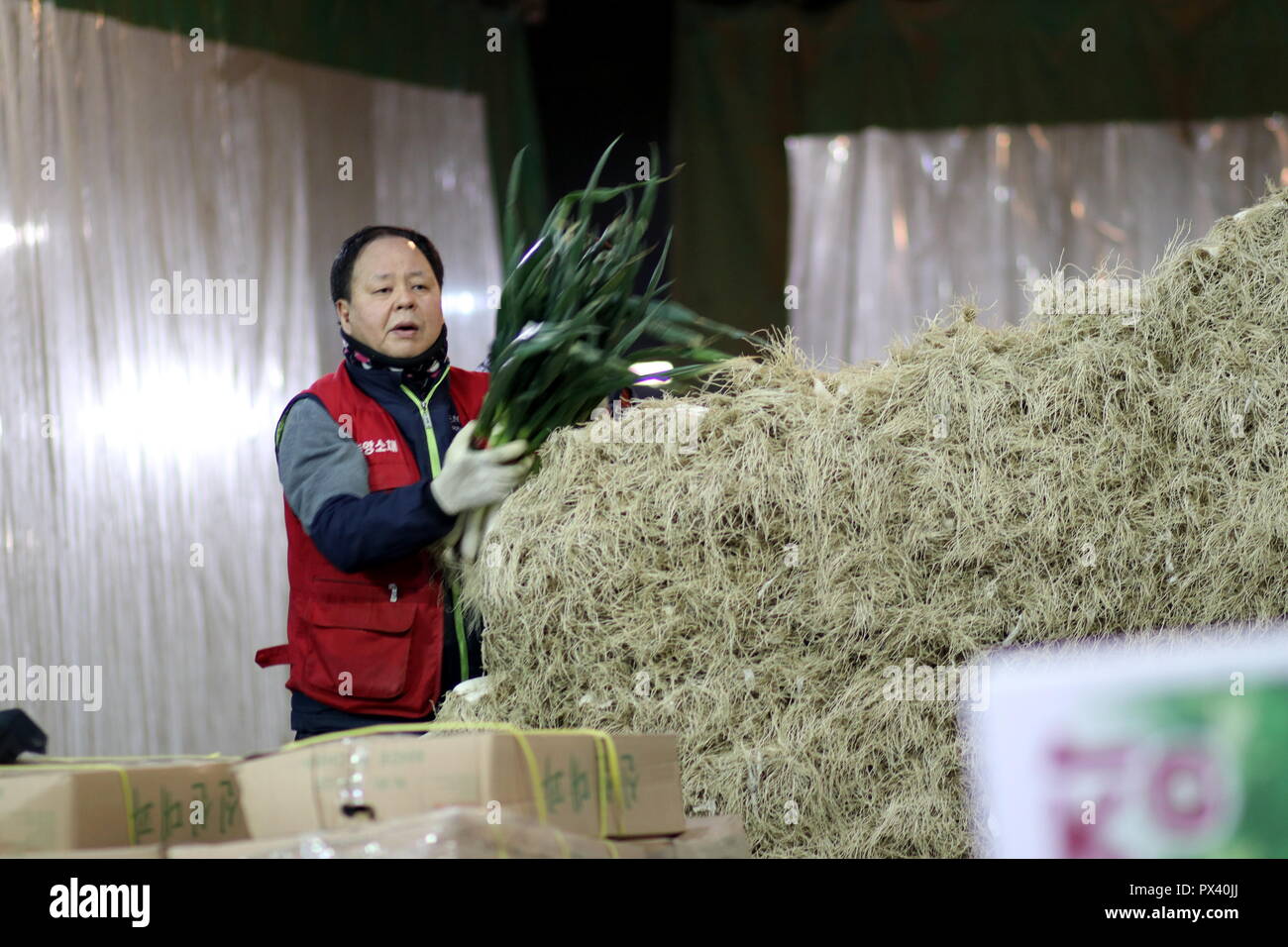 Garak market in Seoul, Korea Stock Photo - Alamy