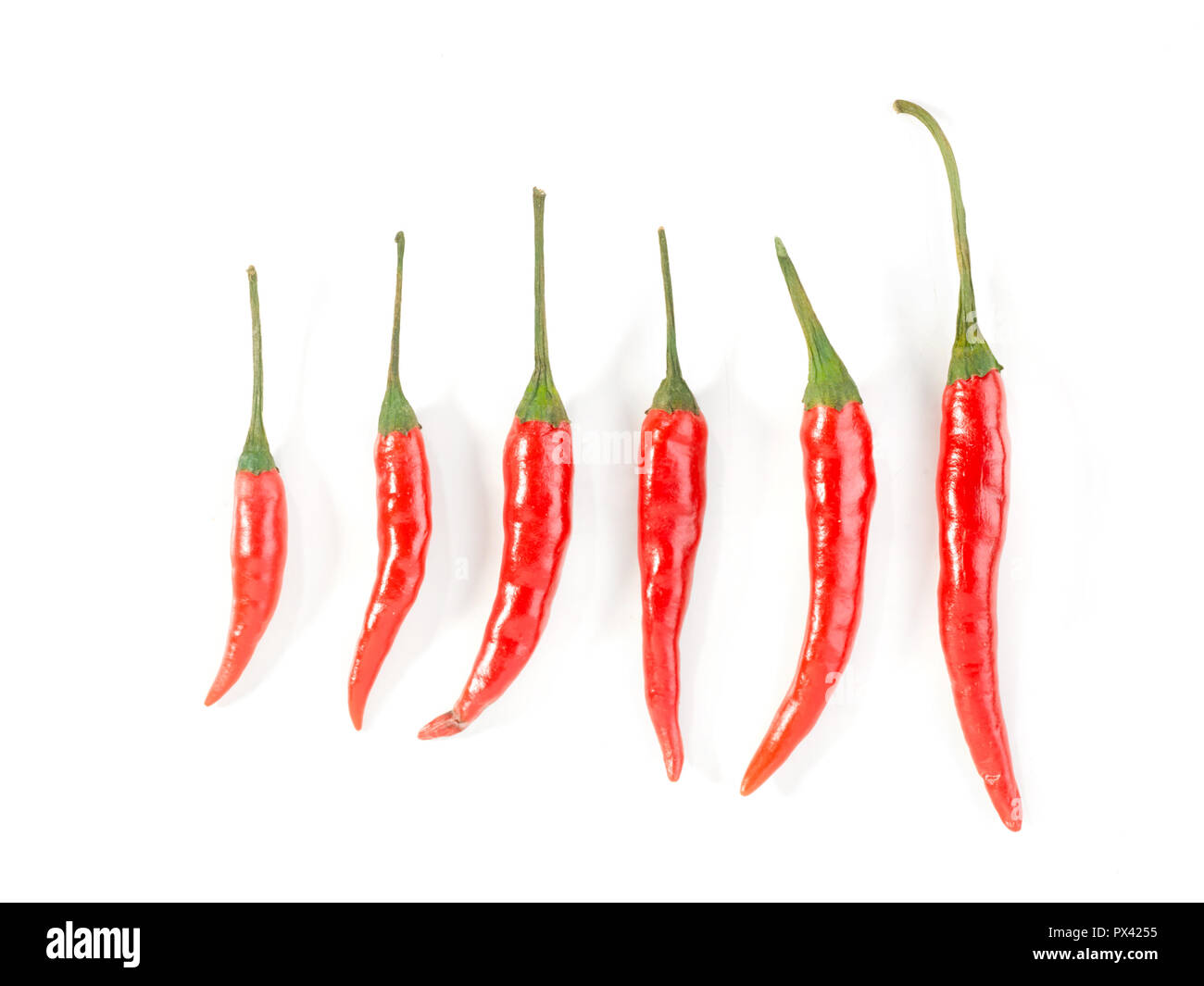 six red chillis on a white background Stock Photo - Alamy