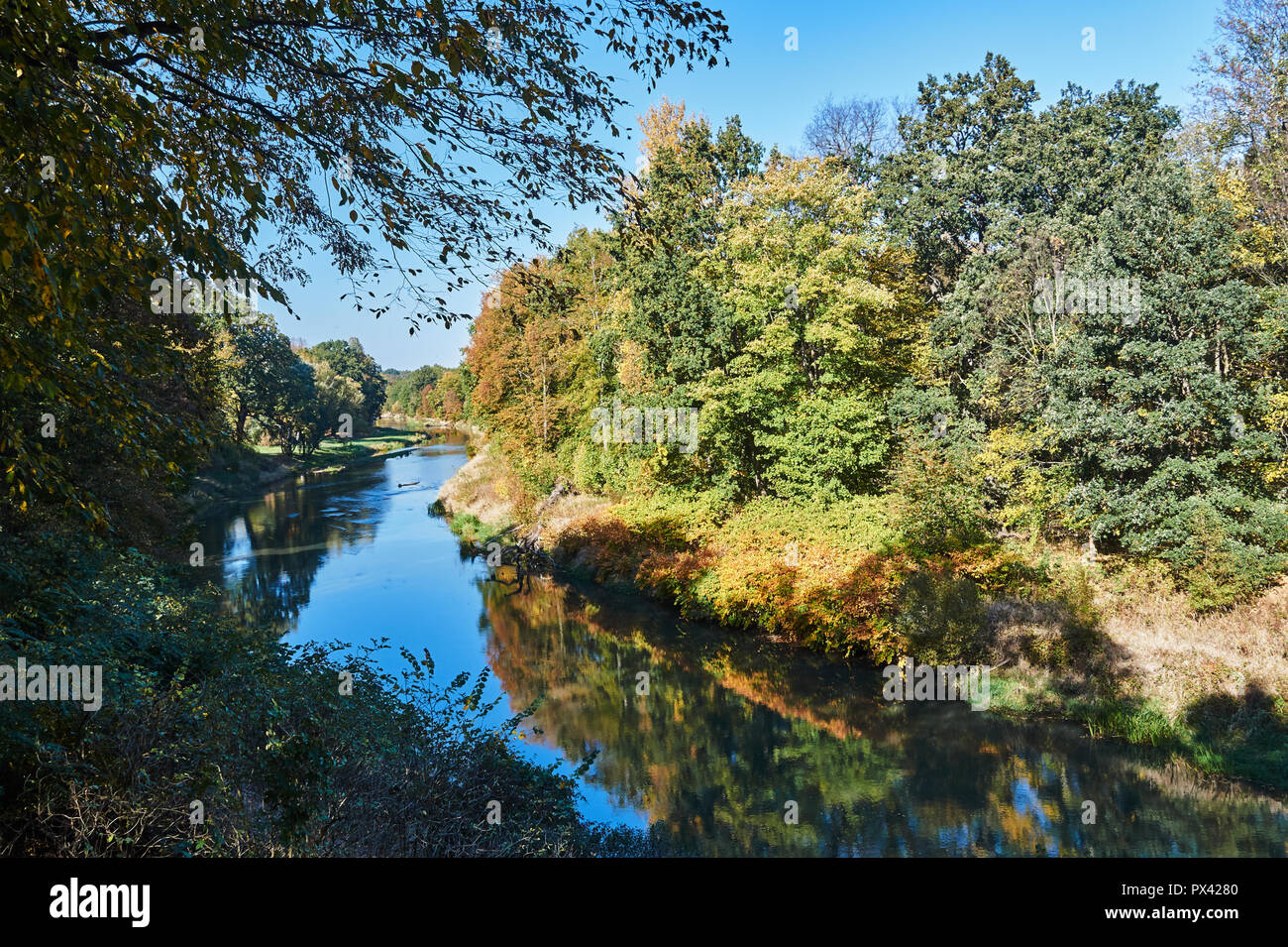 Trees on the banks of the Nysa Łużycka during autumn on the border ...
