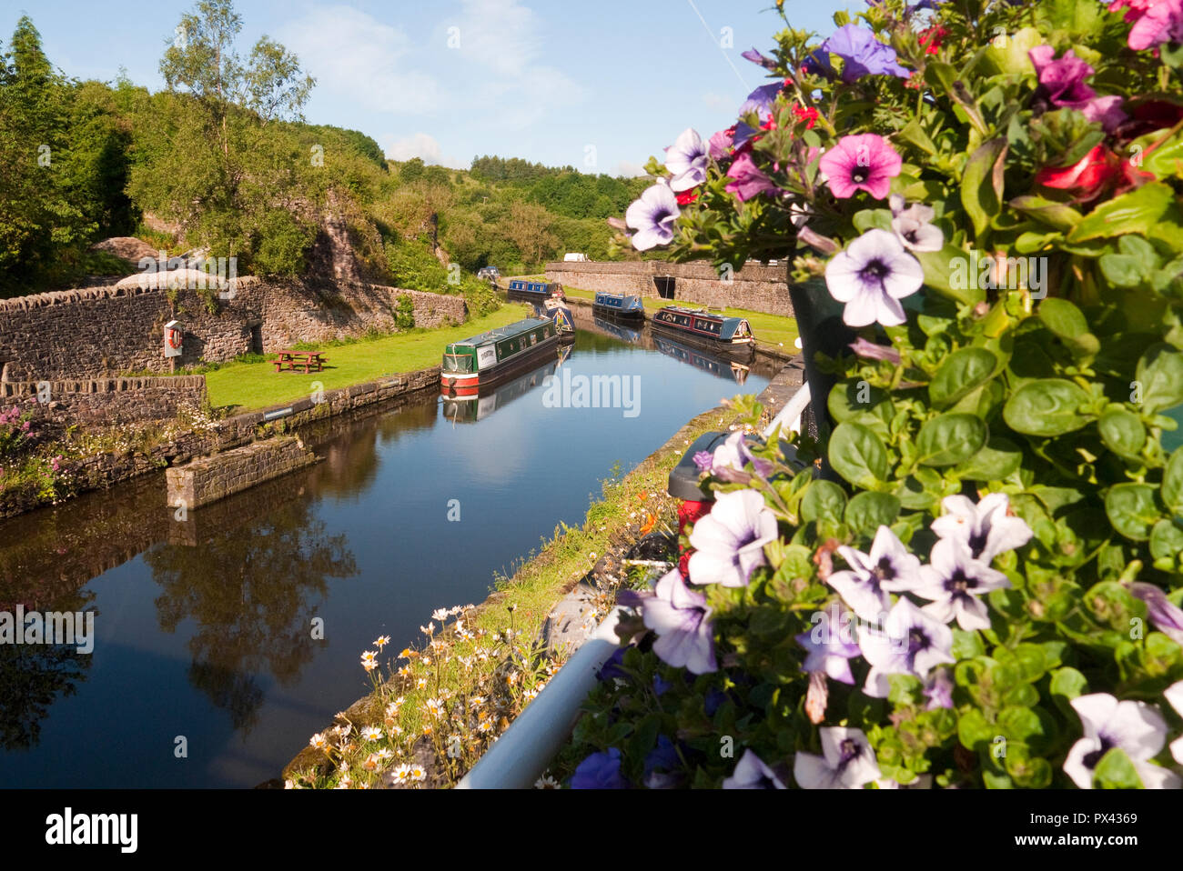 Buxworth hi-res stock photography and images - Alamy