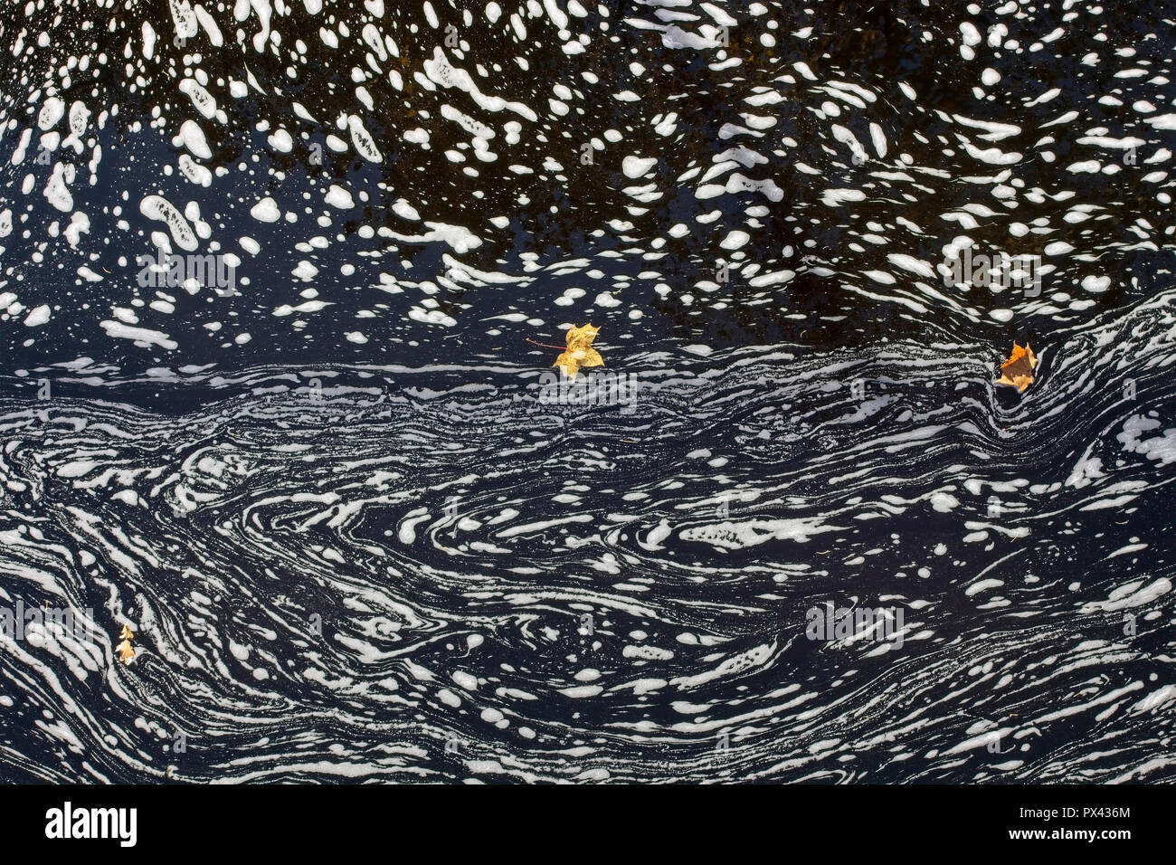 abstract patterns of foam floating on water Stock Photo - Alamy