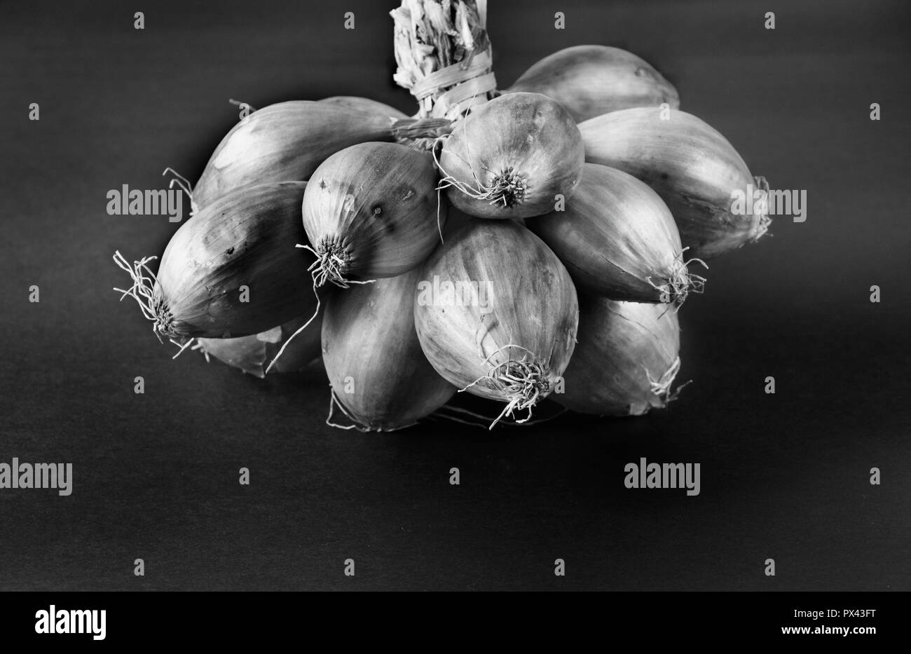 A fantastic bunch of shallots , black and white photography ,high ...