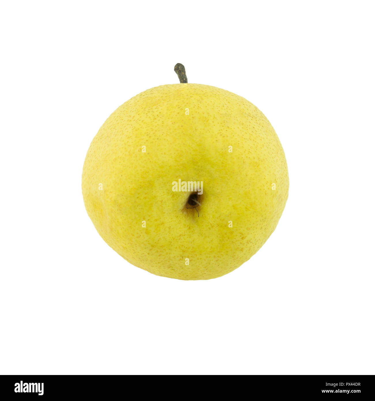 Chinese pear isolated on white background Stock Photo - Alamy