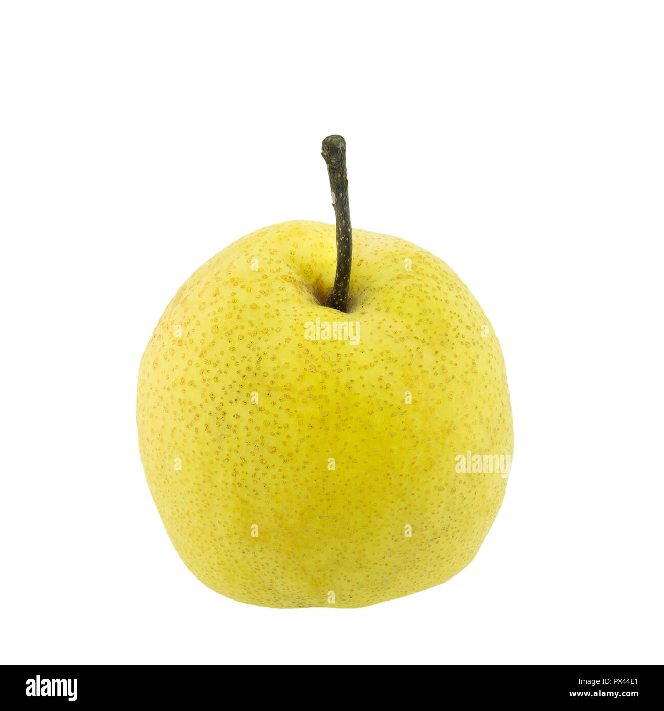 Chinese pear isolated on white background Stock Photo - Alamy