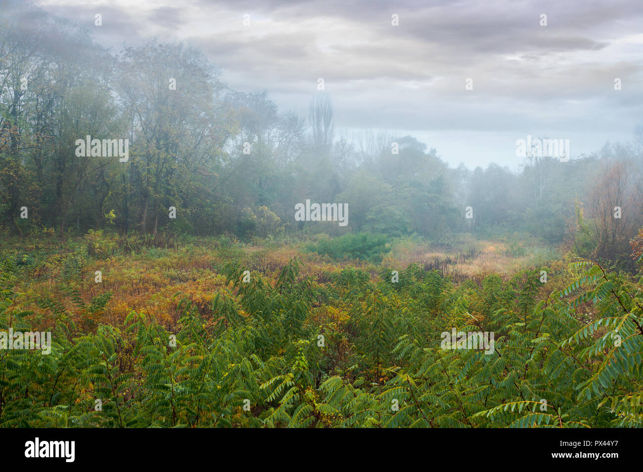 Overcast autumn weather on hi-res stock photography and images - Alamy