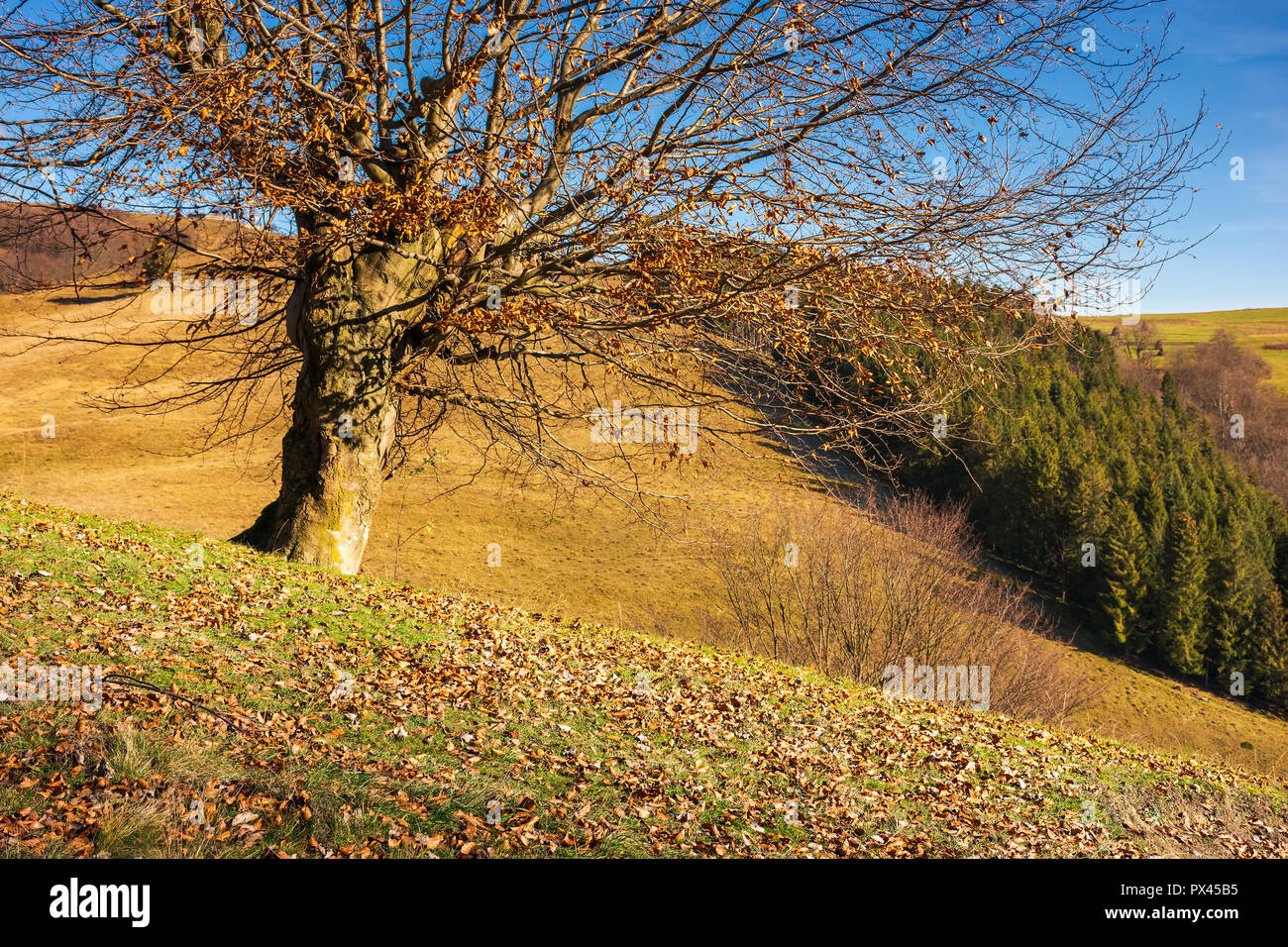 Sad scenery hi-res stock photography and images - Alamy