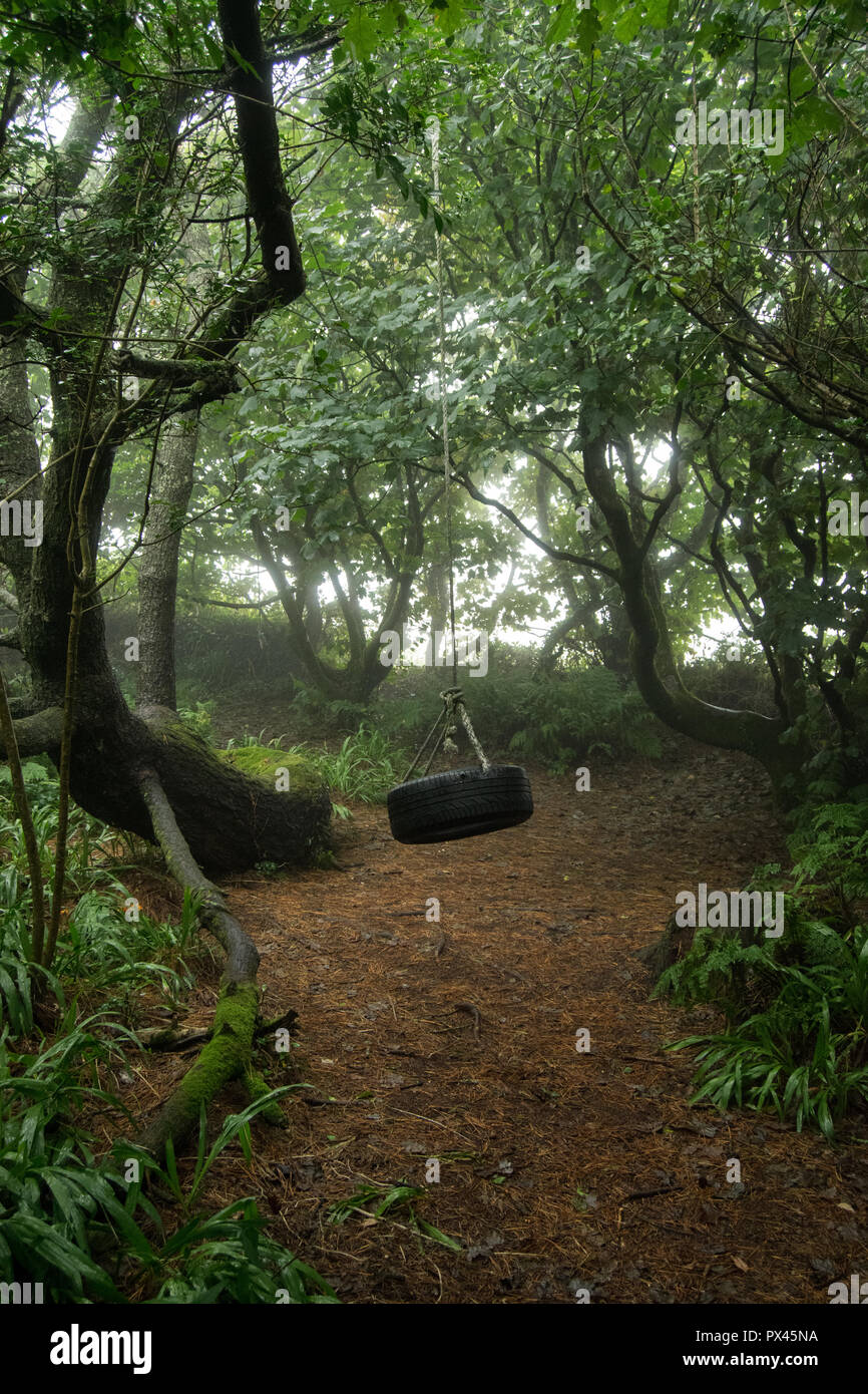 Rope Swing/Tyre Swing Stock Photo - Alamy