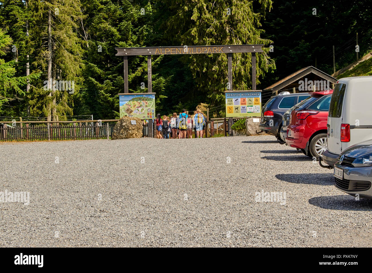 Alpenwildpark in Bregenz (Pfänder Stock Photo - Alamy