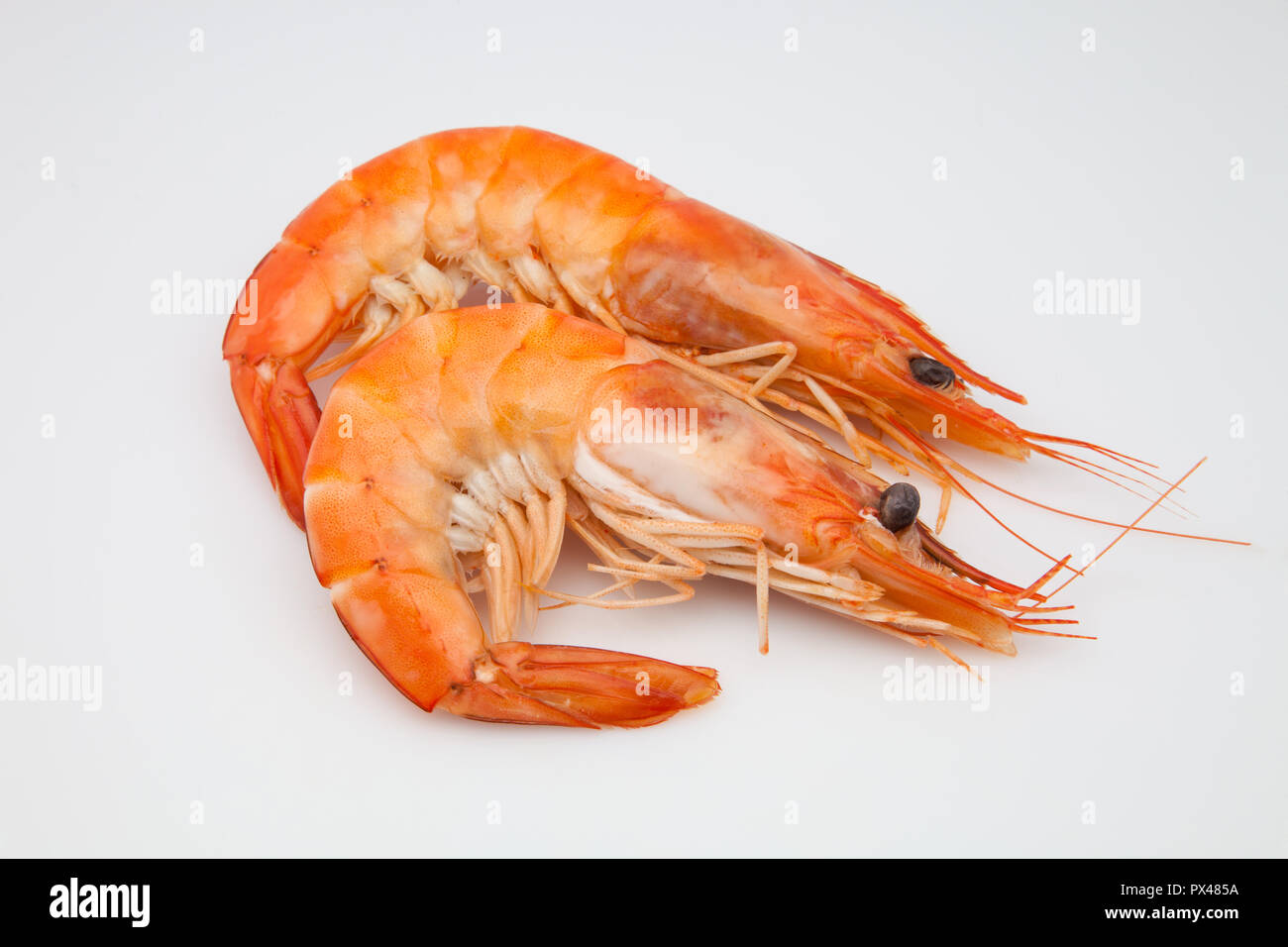 Cooked king prawns hi-res stock photography and images - Alamy