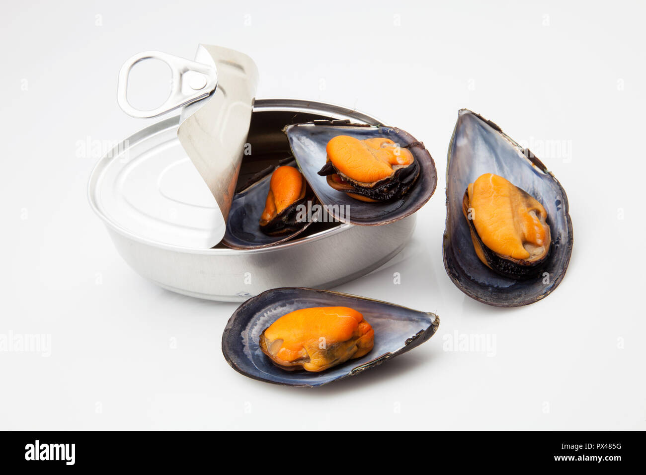 Cans with shells hi-res stock photography and images - Alamy