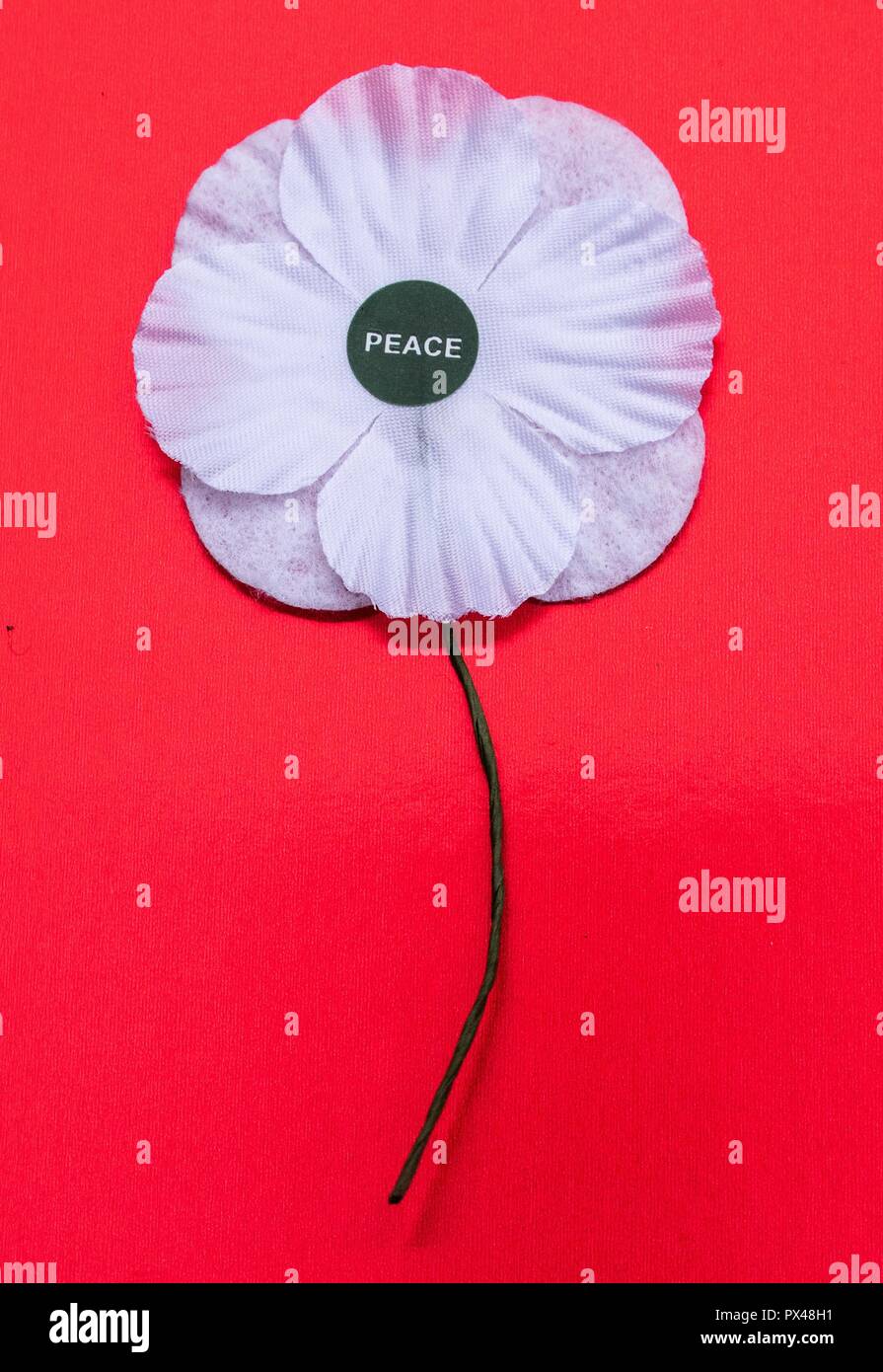 White Poppy Peace High Resolution Stock Photography and Images - Alamy