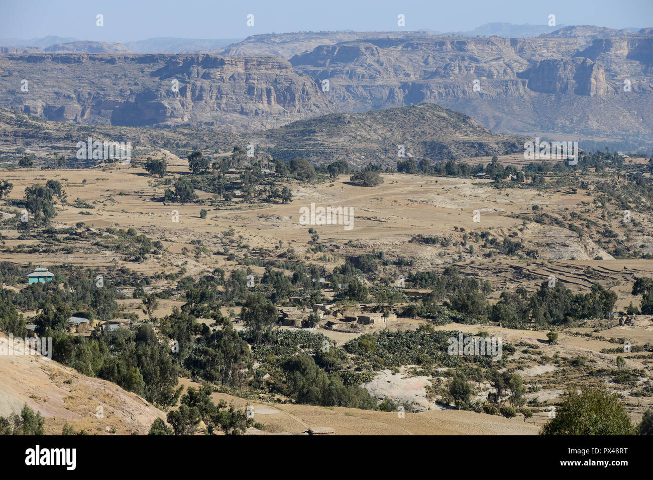Eritrea agriculture hi-res stock photography and images - Alamy