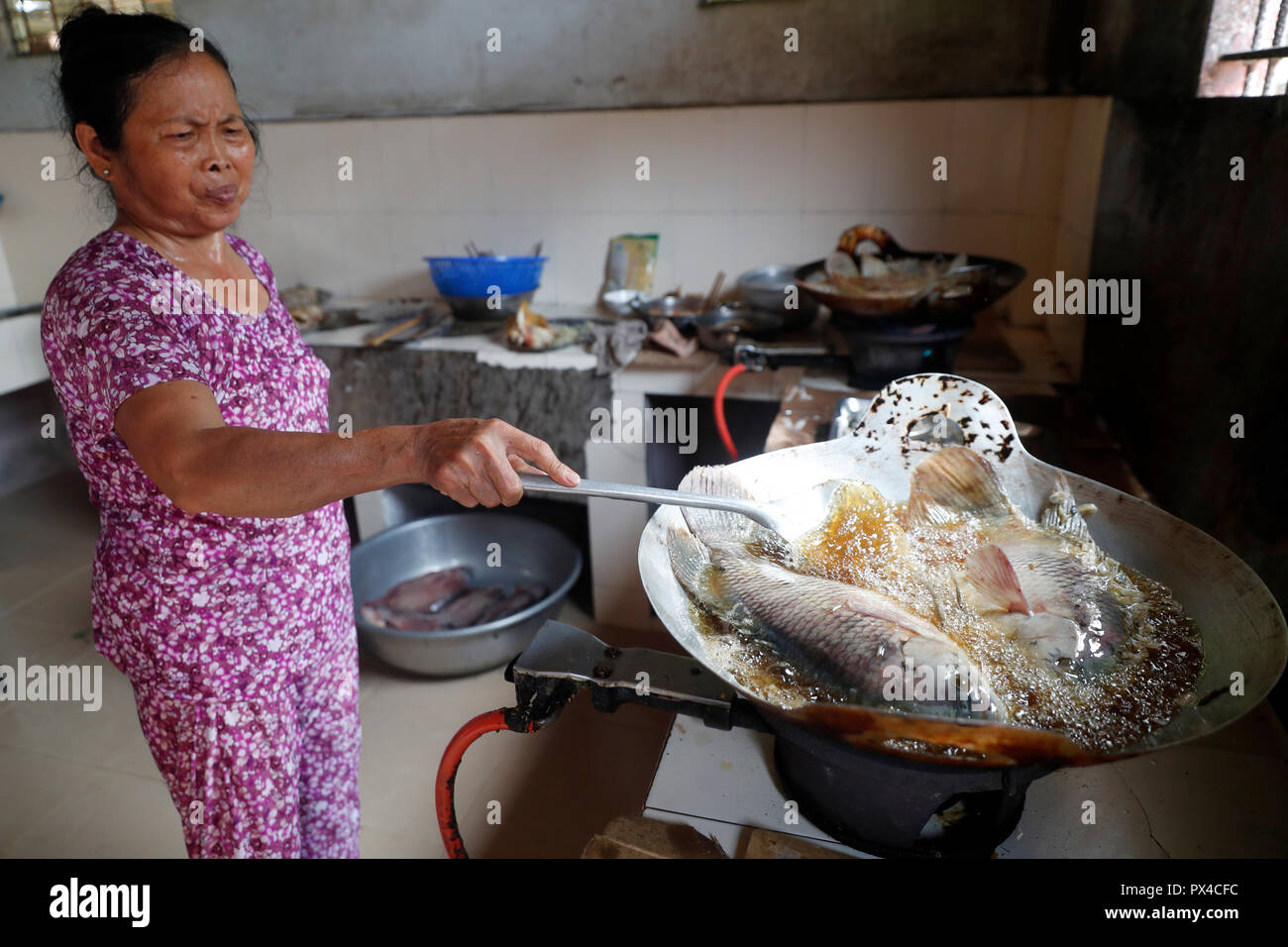 Vietnamese Woman Cooking Kitchen High Resolution Stock Photography and ...