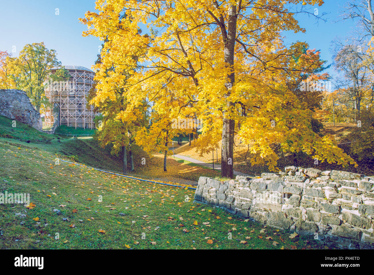 City Cesis, Latvia. Old Casttle park at autumn. Yellow leafs, ruins and ...